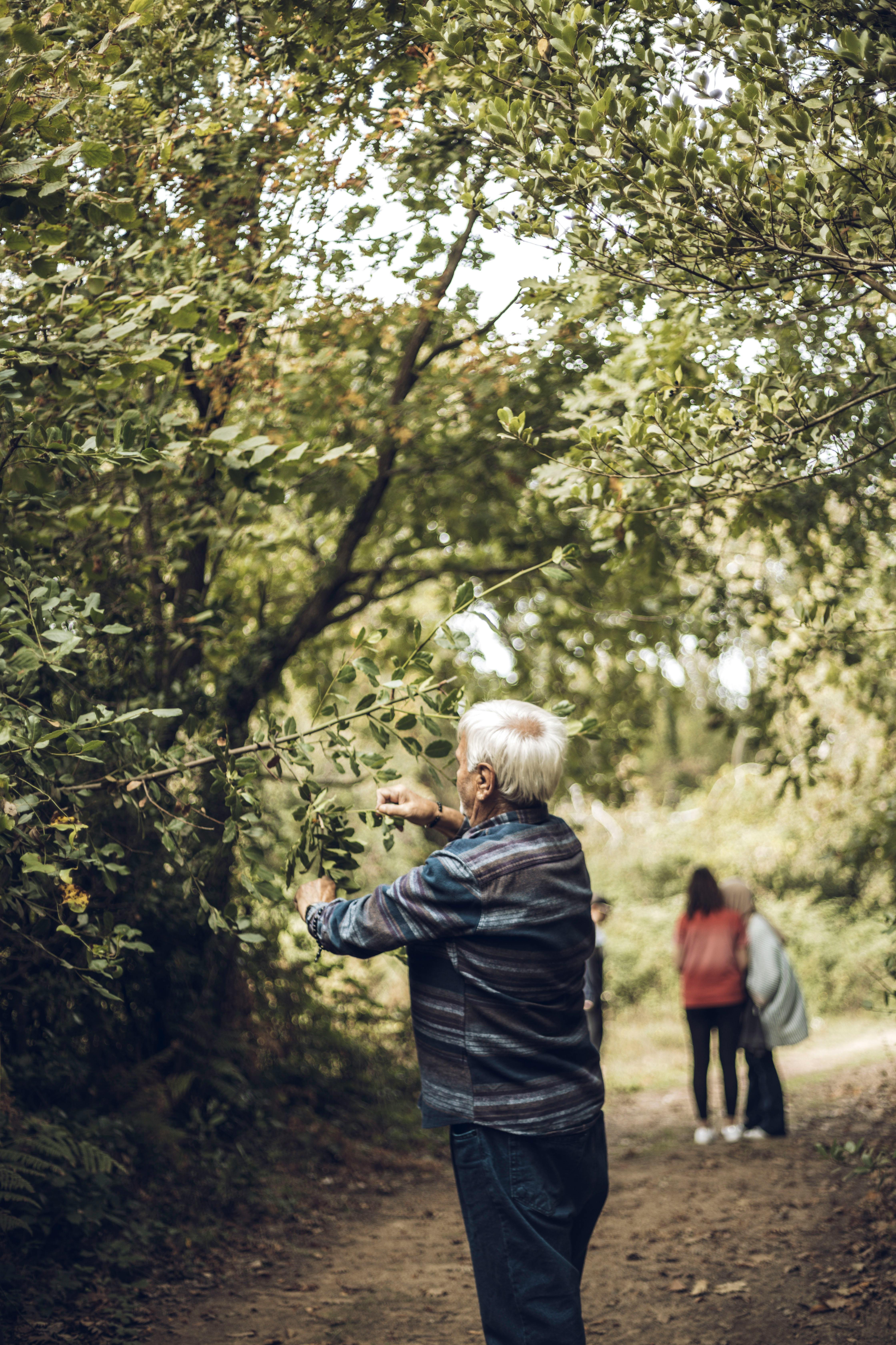 Man Ripping a Tree Branch · Free Stock Photo