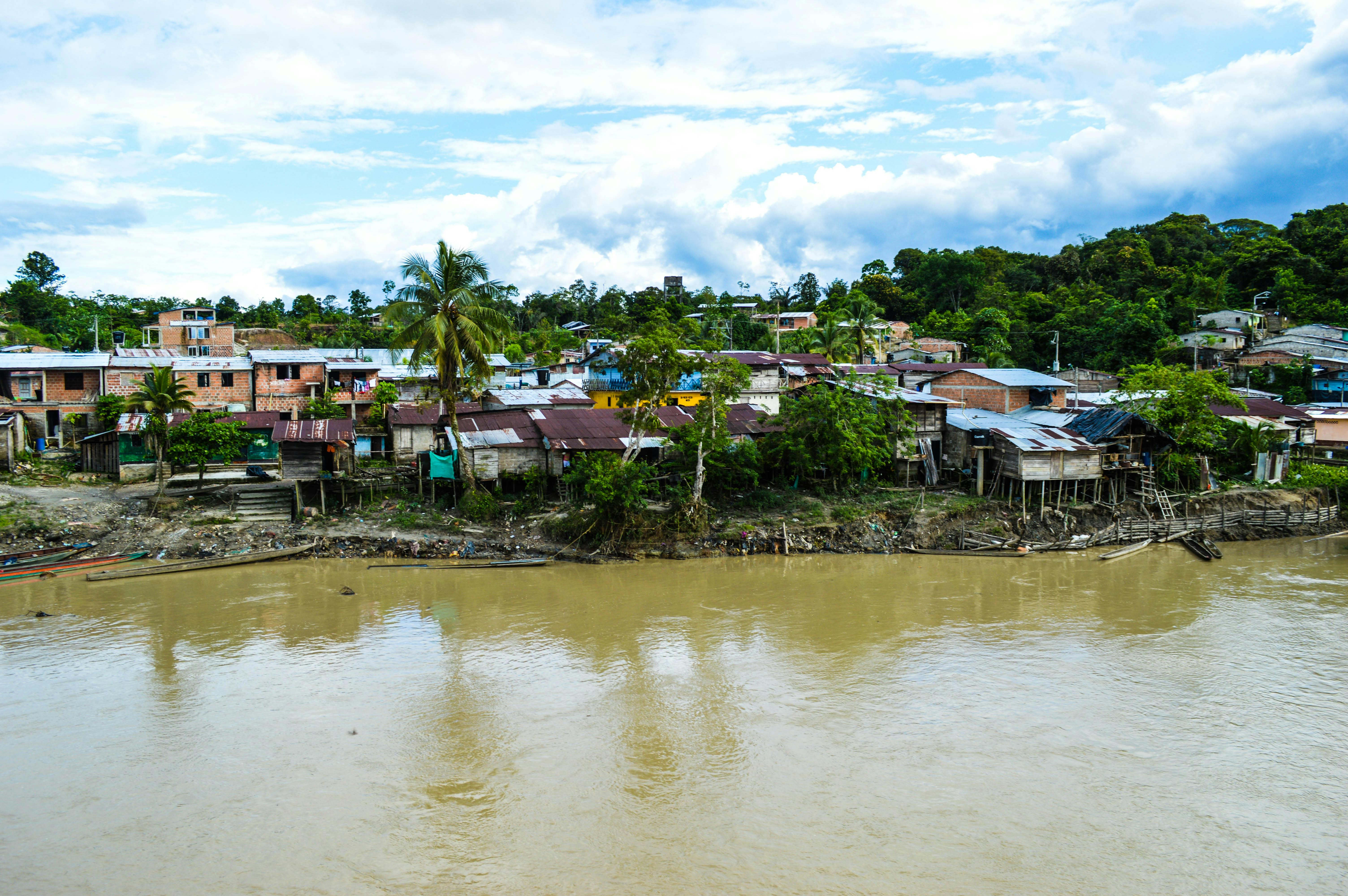 Houses Beside the River · Free Stock Photo