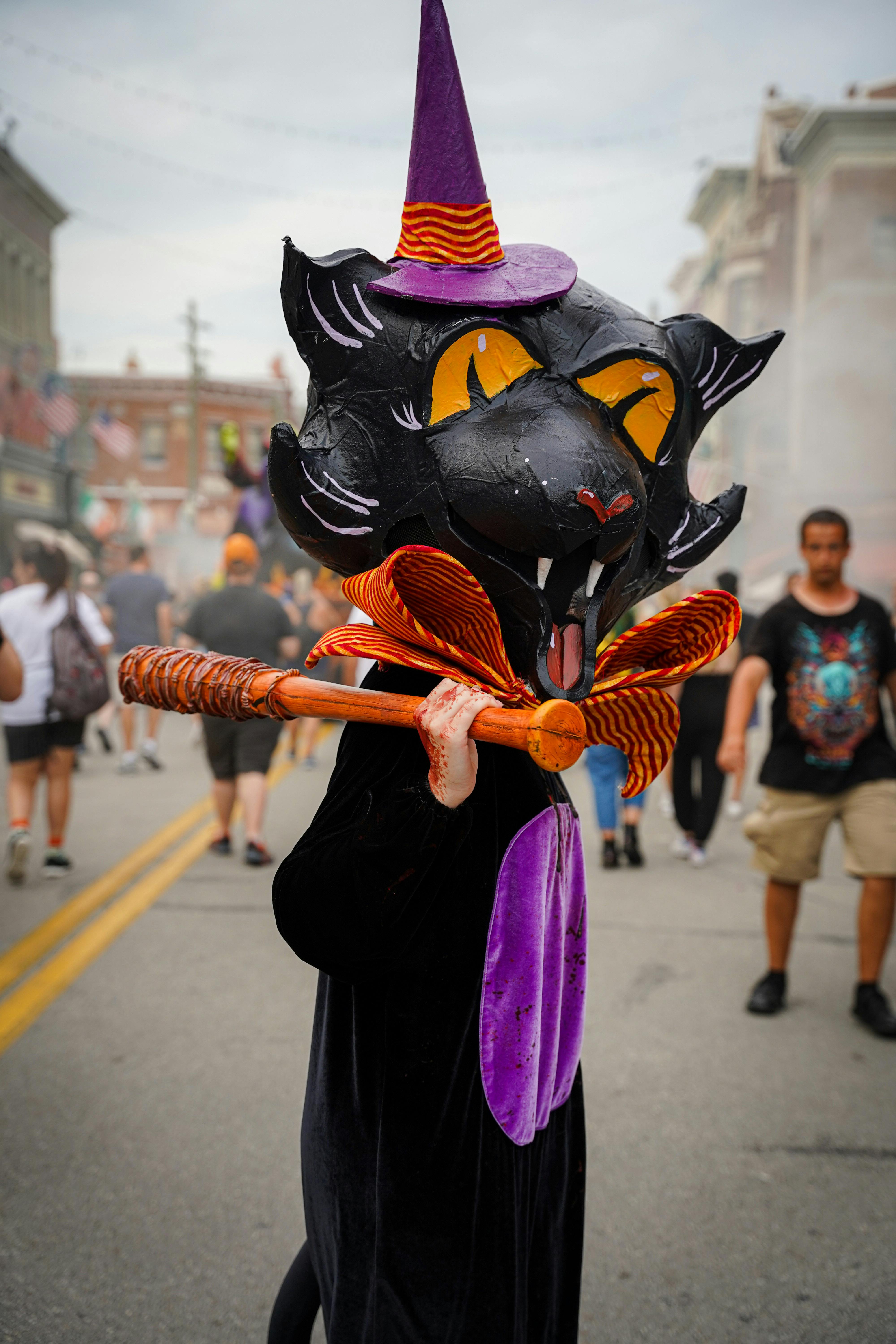 Cat Parade Photos, Download The BEST Free Cat Parade Stock Photos & HD ...