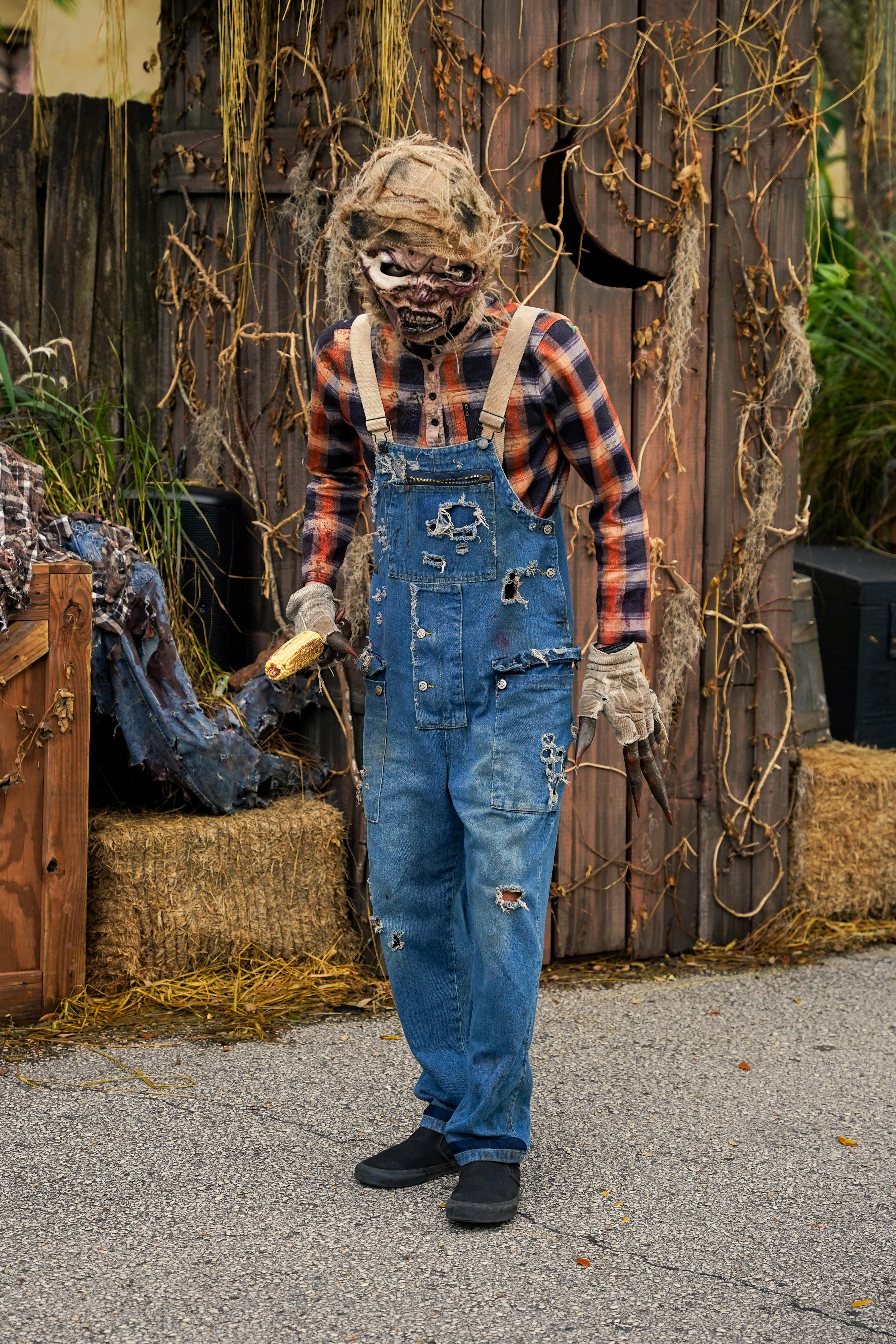 Strawmanning Photos, Download The BEST Free Strawmanning Stock Photos ...