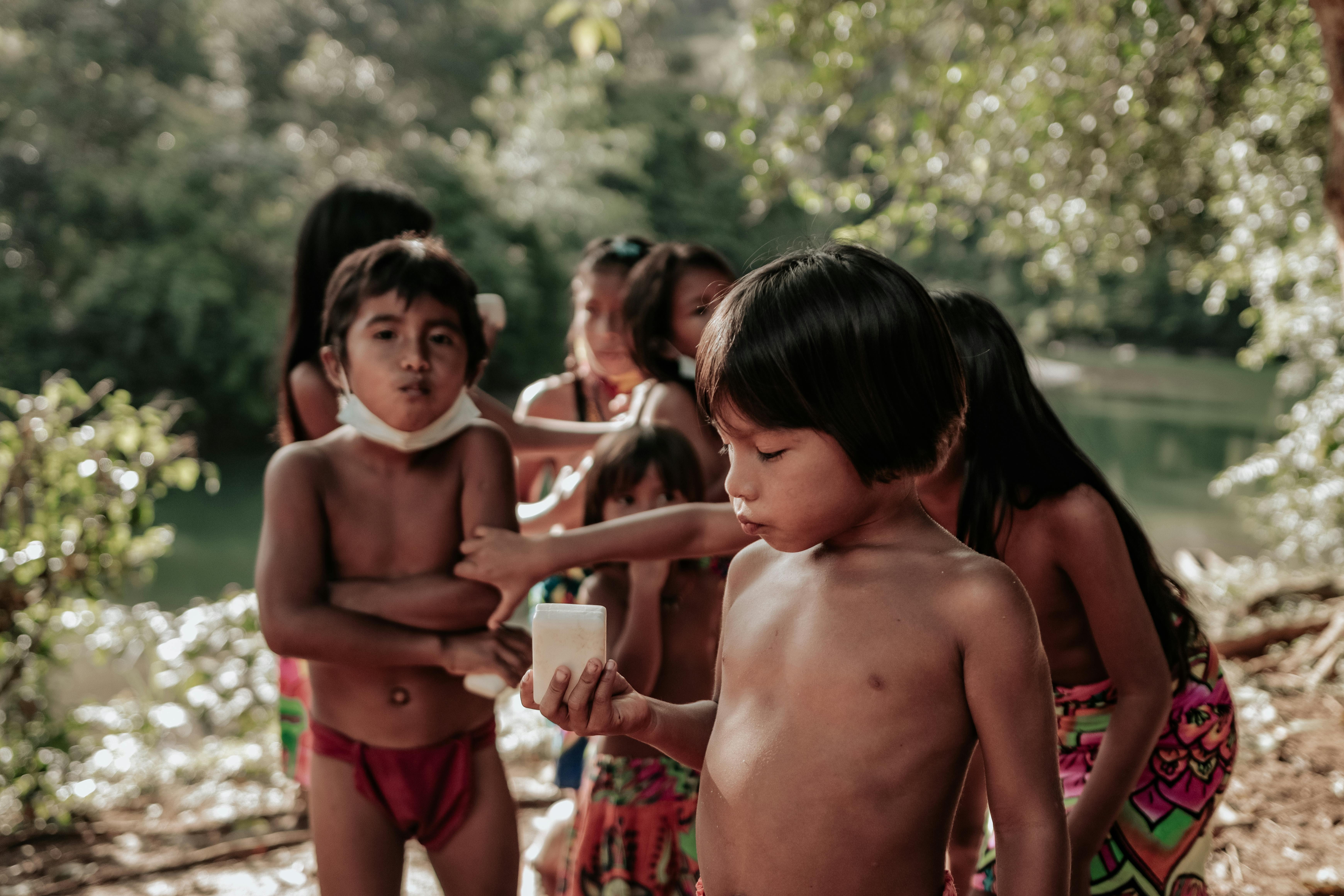 Indigenous Education Photos, Download The BEST Free Indigenous Education Stock Photos & HD Images