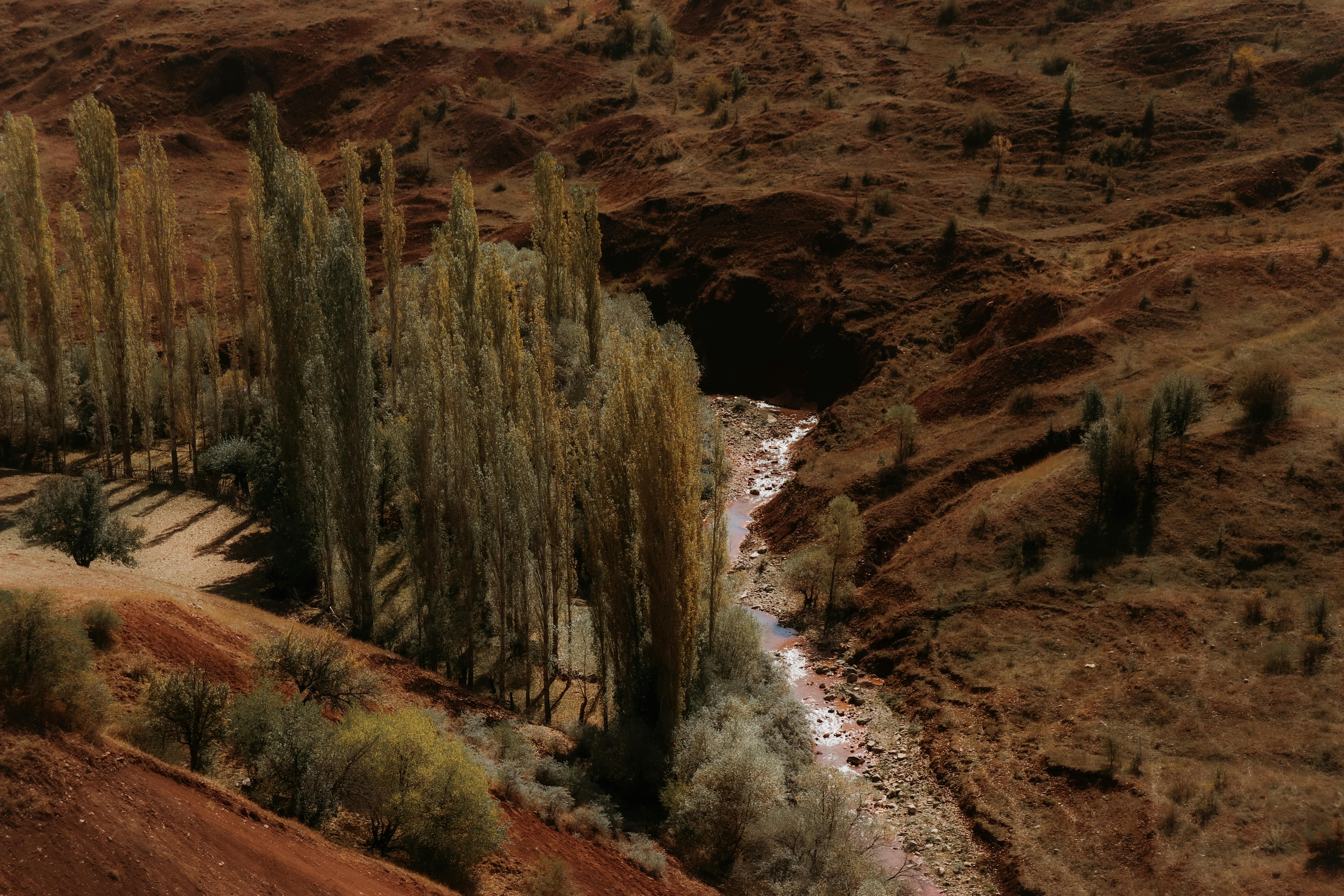 Stream In The Desert Photos, Download The BEST Free Stream In The ...