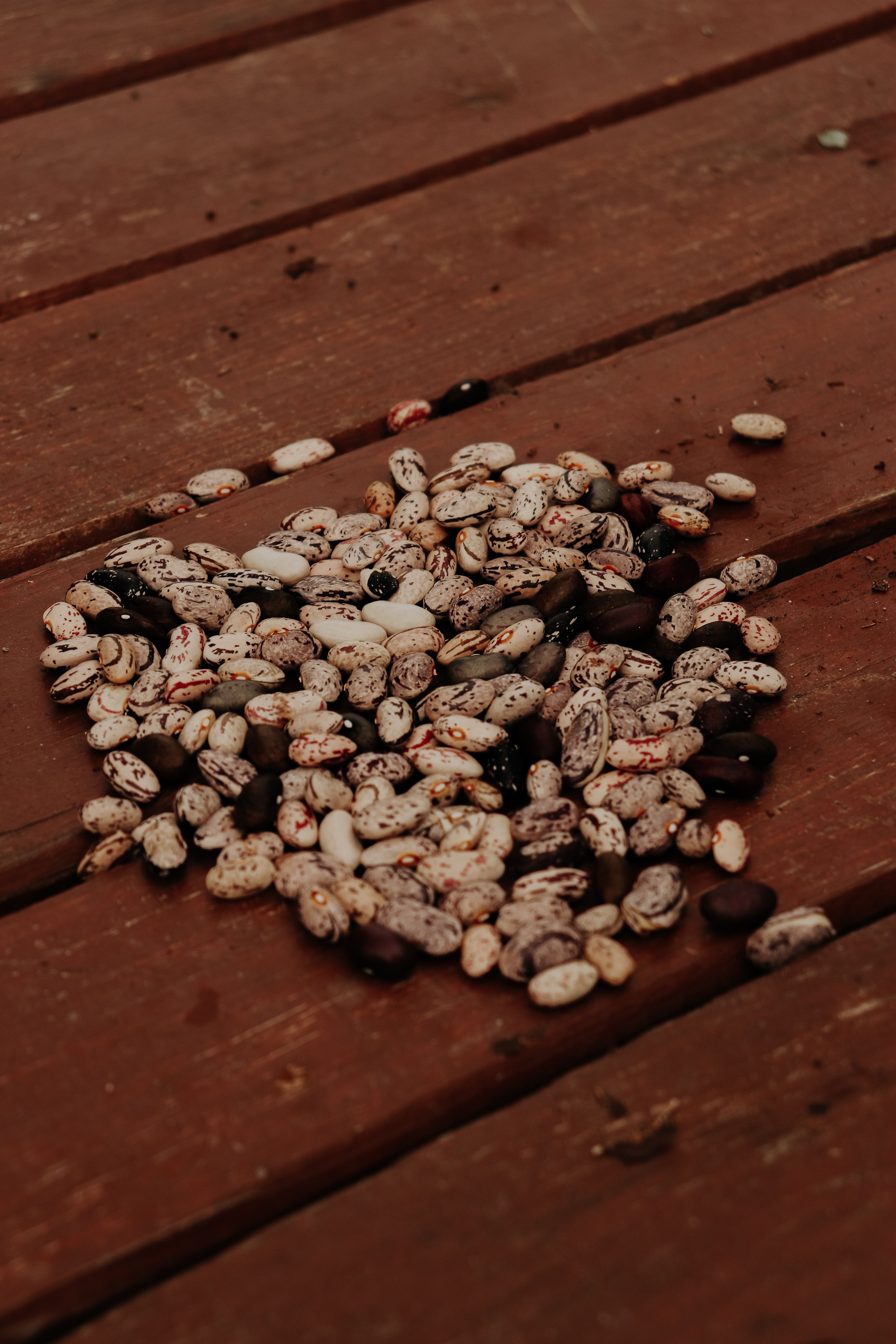 Brown Beans on Wooden Surface · Free Stock Photo