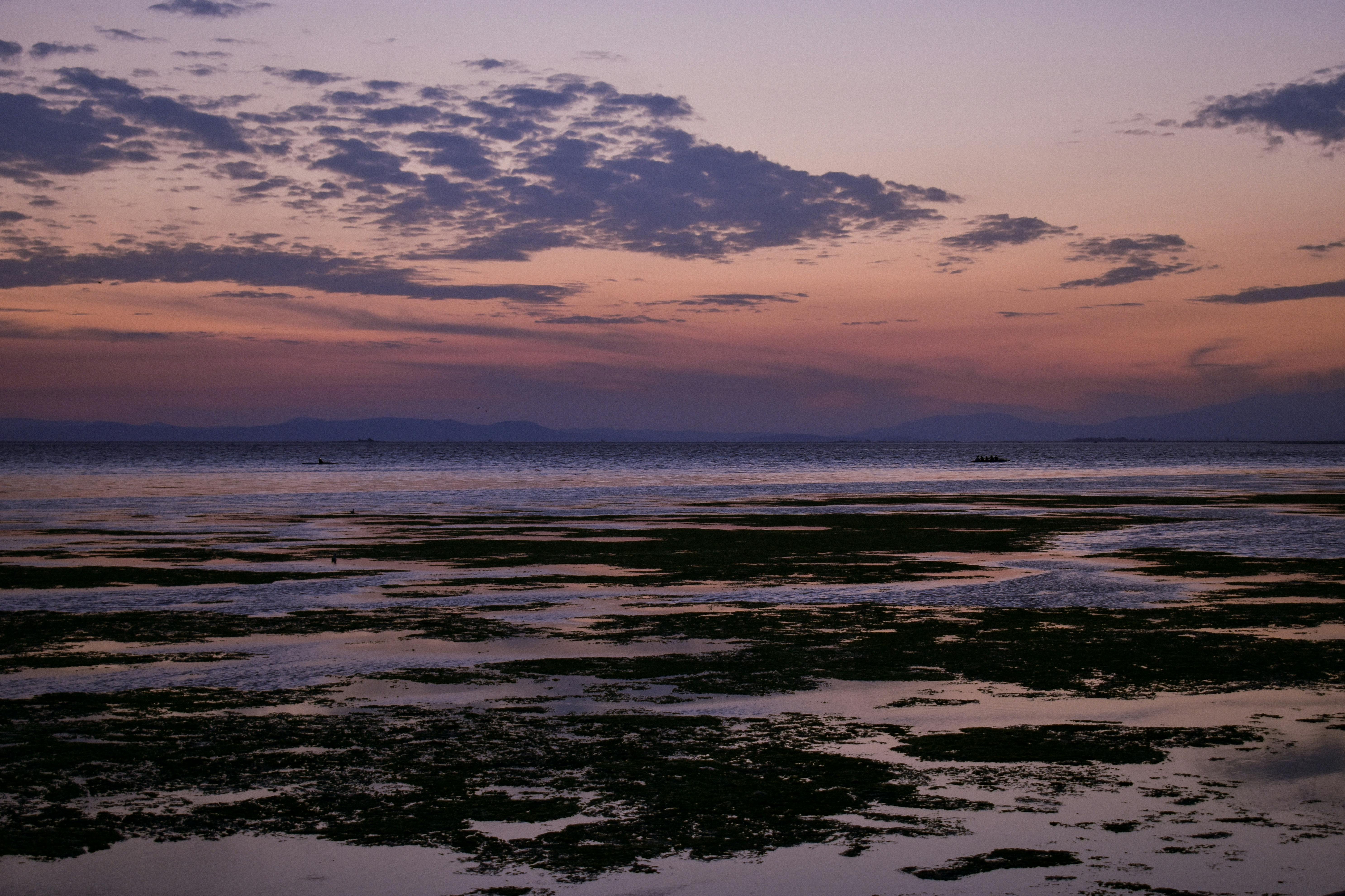 White Screen Projector by the Beach · Free Stock Photo