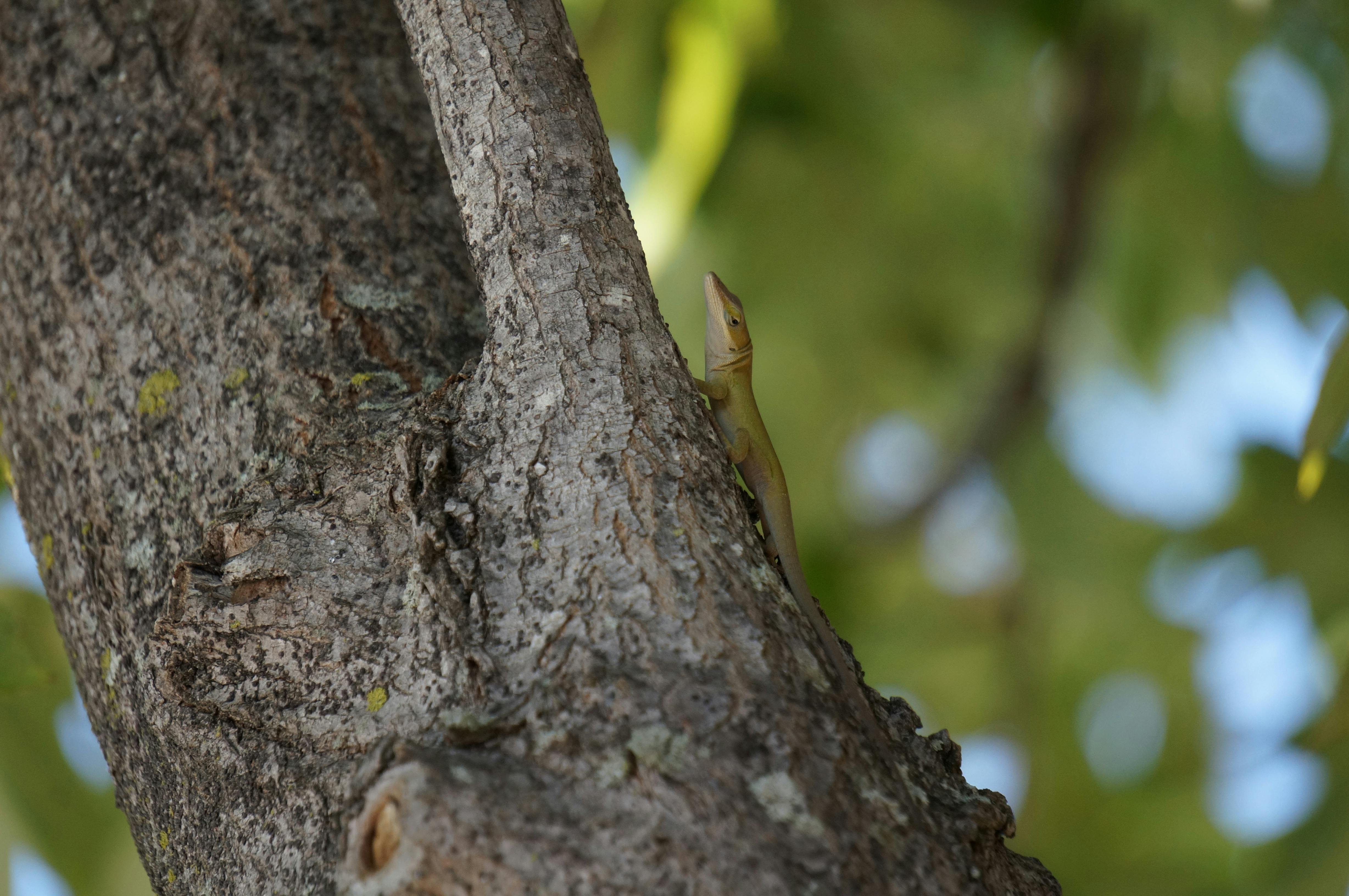 Tony Rogers – Fotografia