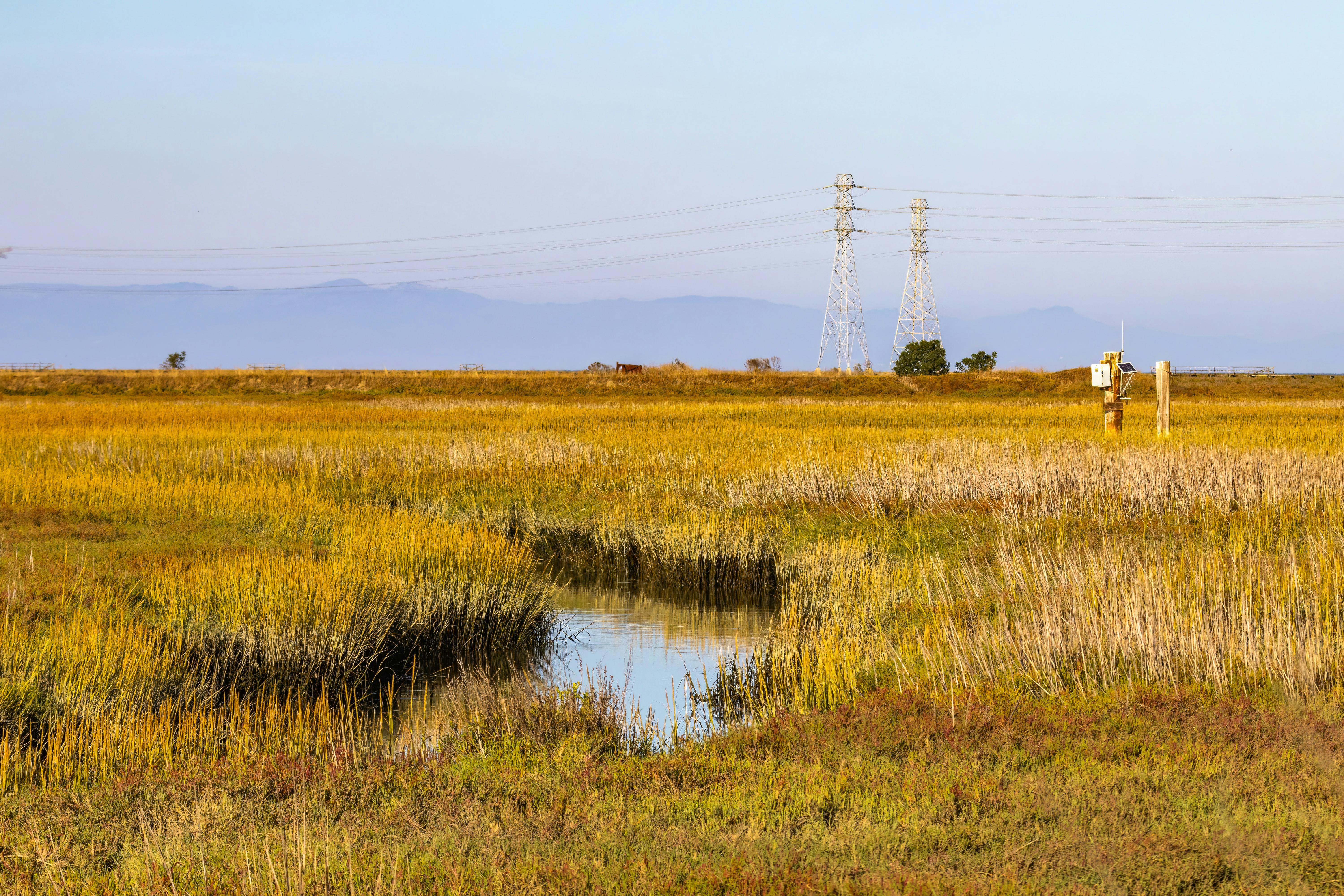 Electric Towers on Grass Field · Free Stock Photo