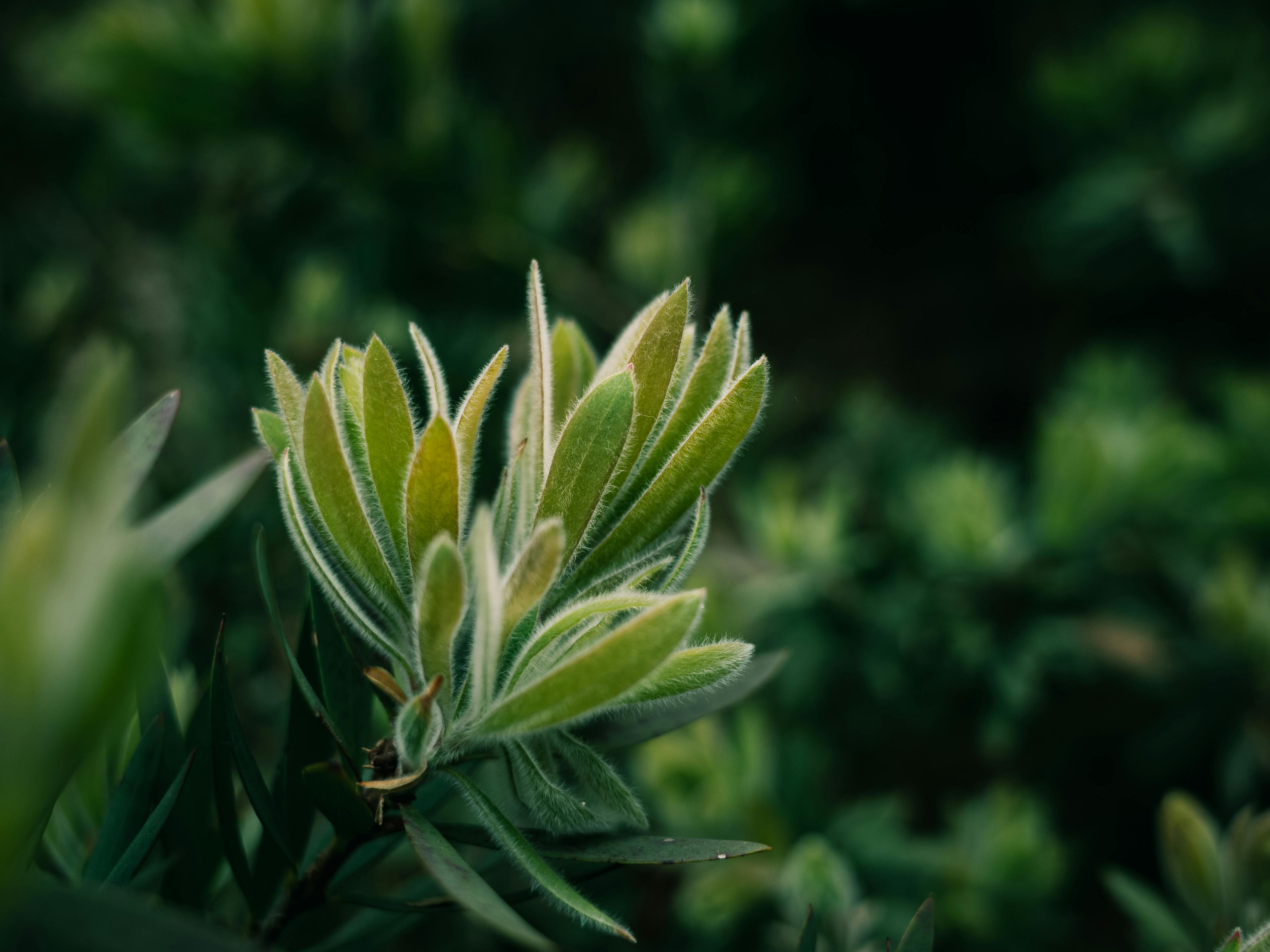 Person Holding an Orange and Blue Python Sticker · Free Stock Photo
