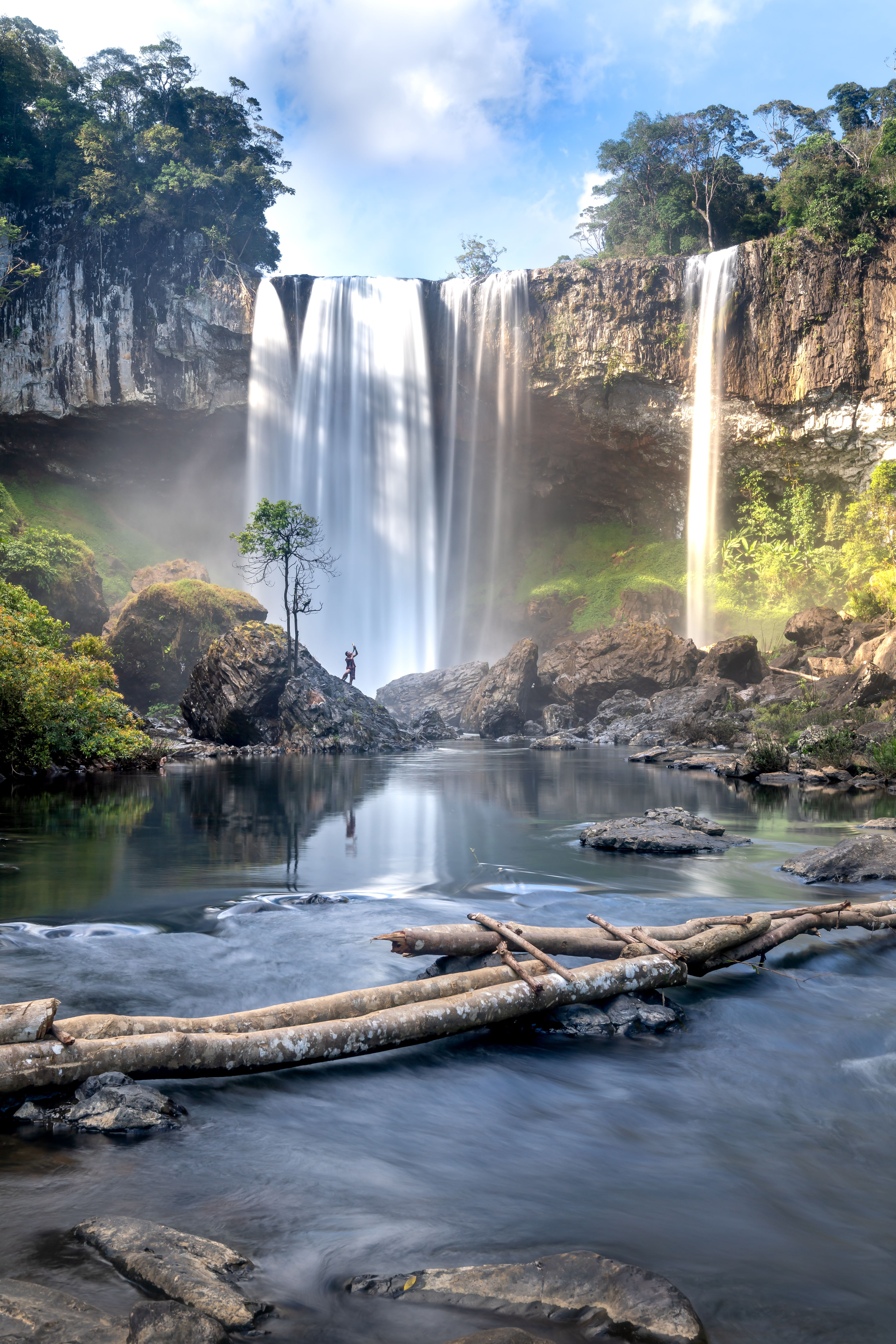 Brown Tree Log on River · Free Stock Photo