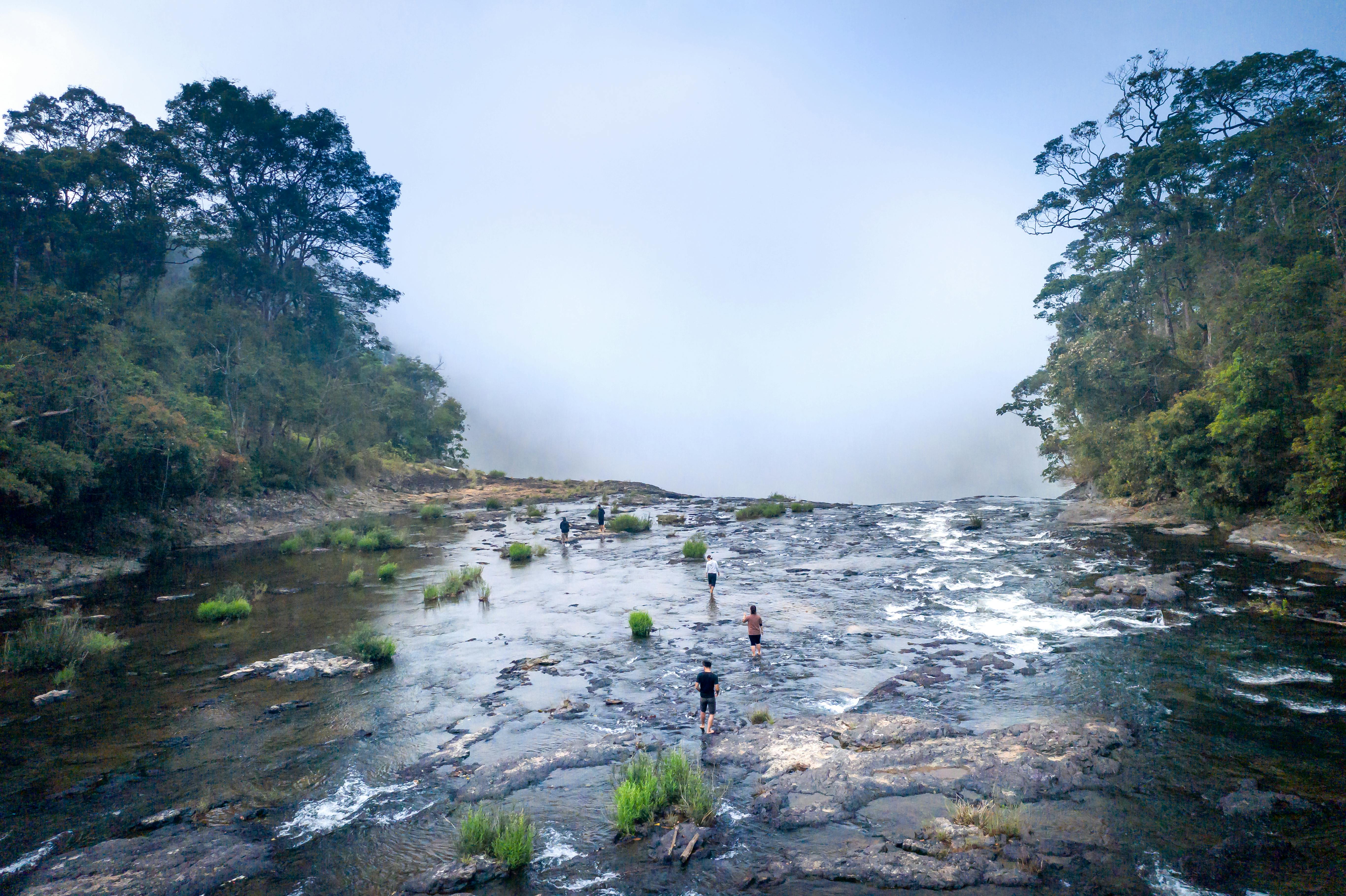 People Standing on the Stream of a Forest · Free Stock Photo