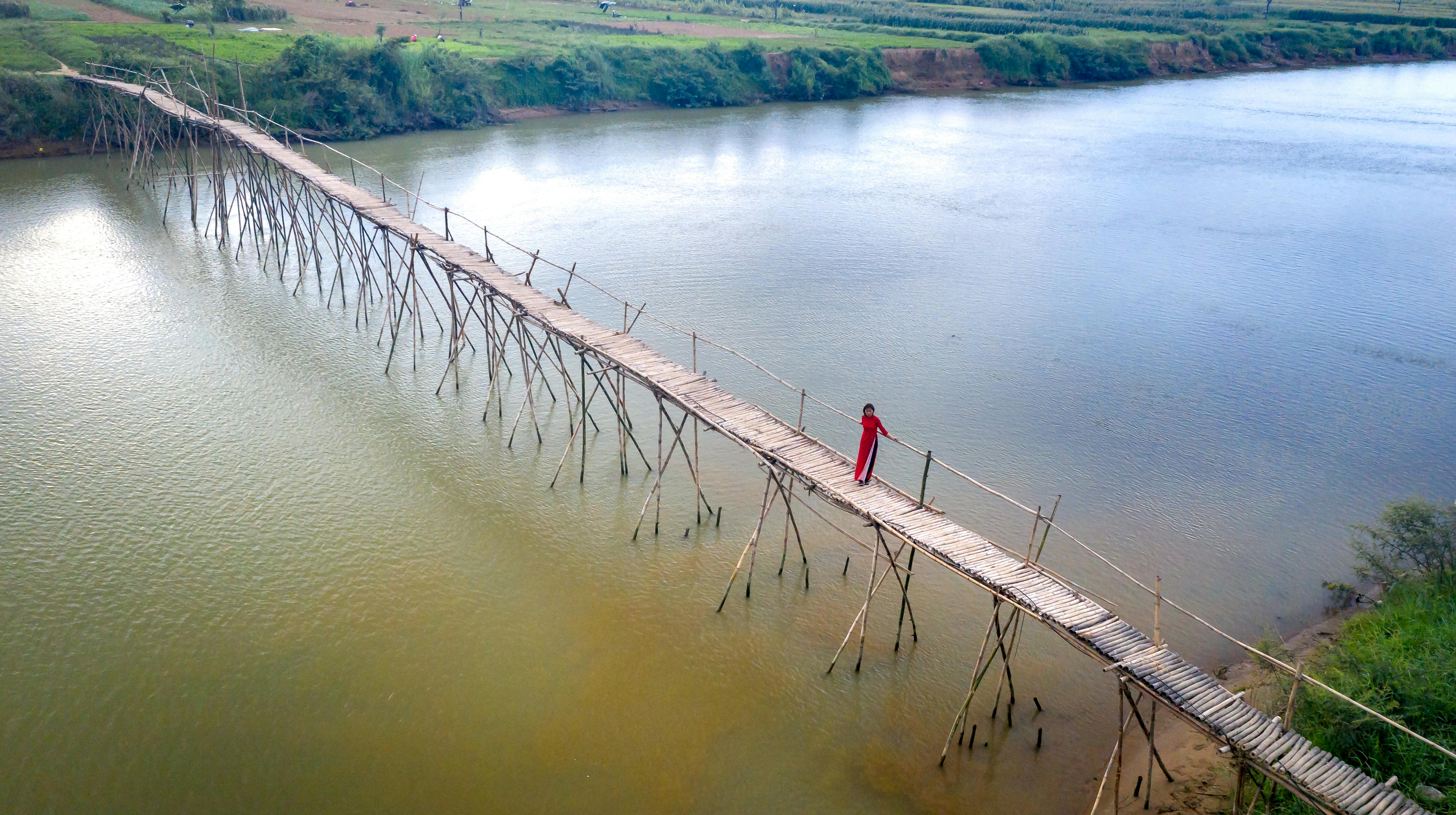 An Aerial Photography of a Bridge Near the Body of Water · Free Stock Photo