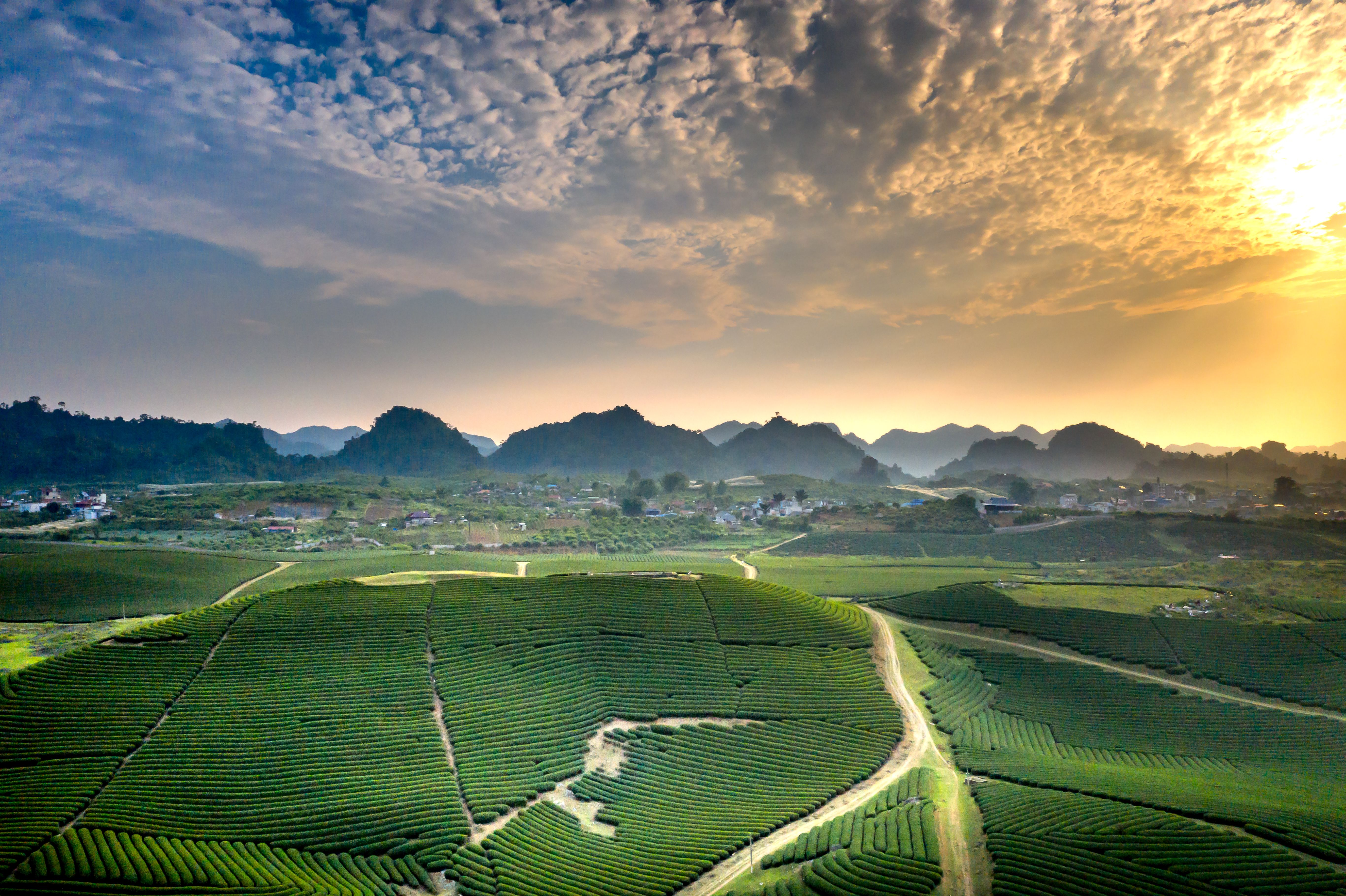 Cropland Near Mountains · Free Stock Photo