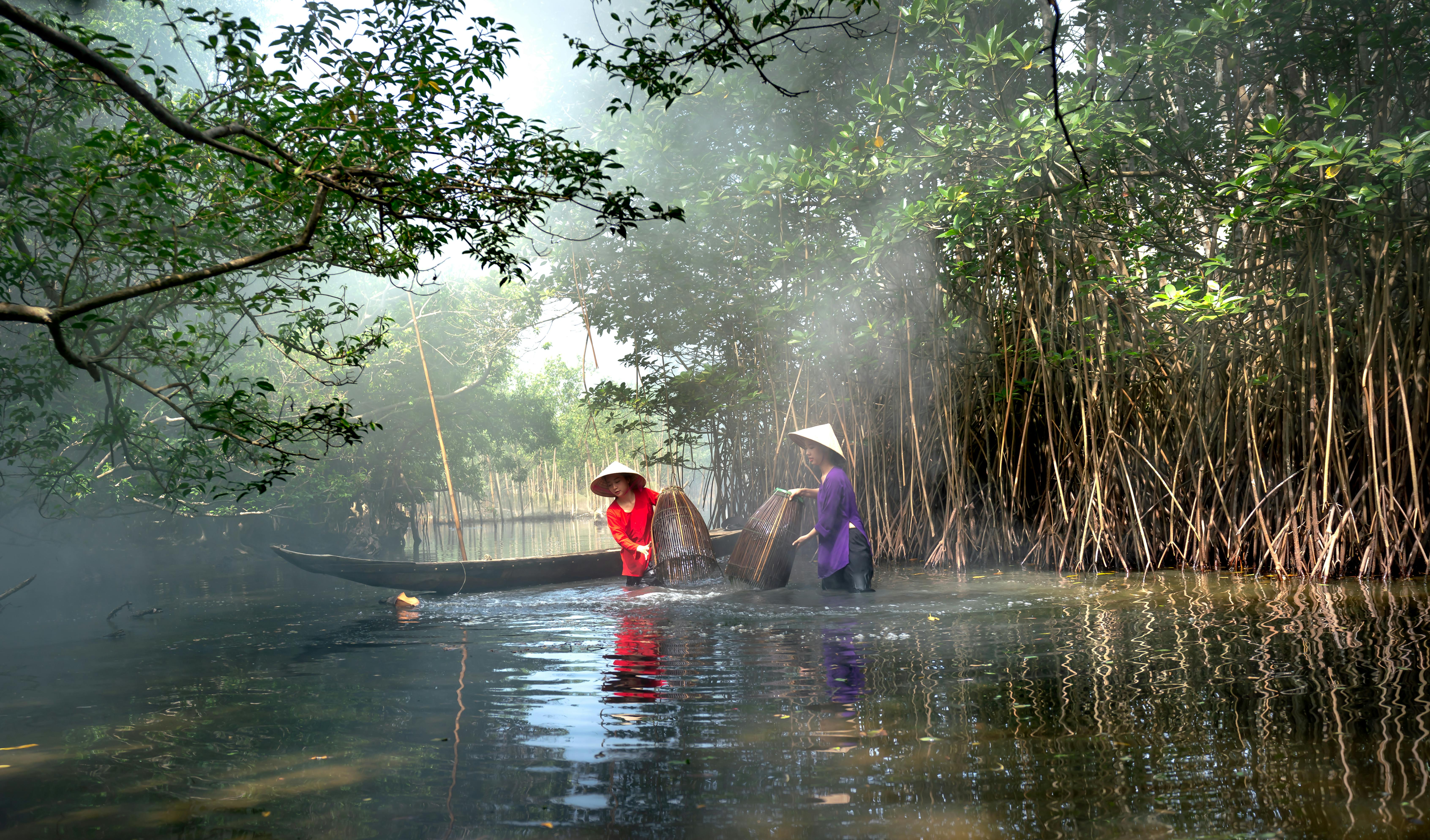 Women Catching Fish in a River · Free Stock Photo