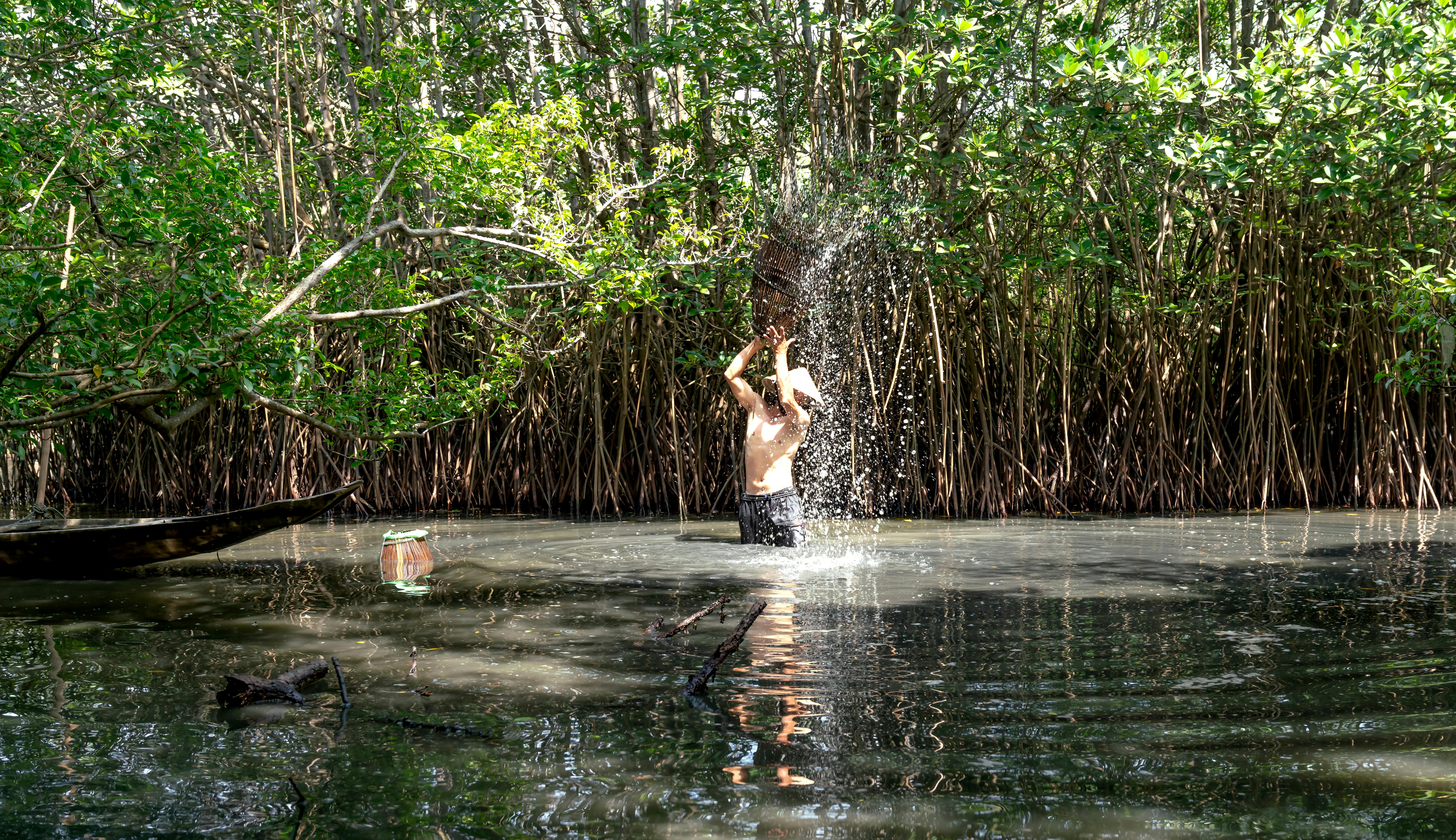 Man Catching Fish in a River · Free Stock Photo