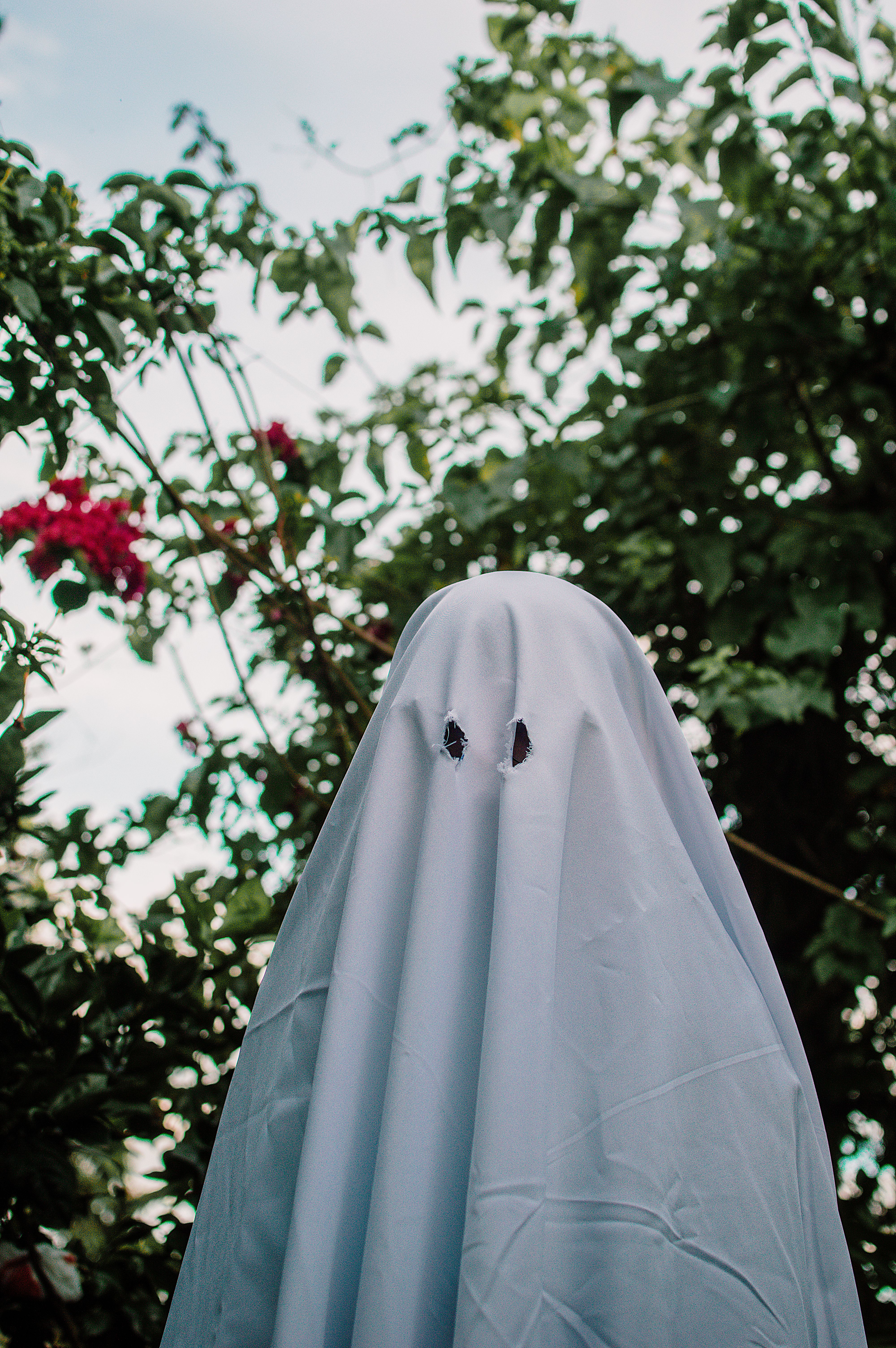 Person in Ghost Costume Made from Bedding · Free Stock Photo