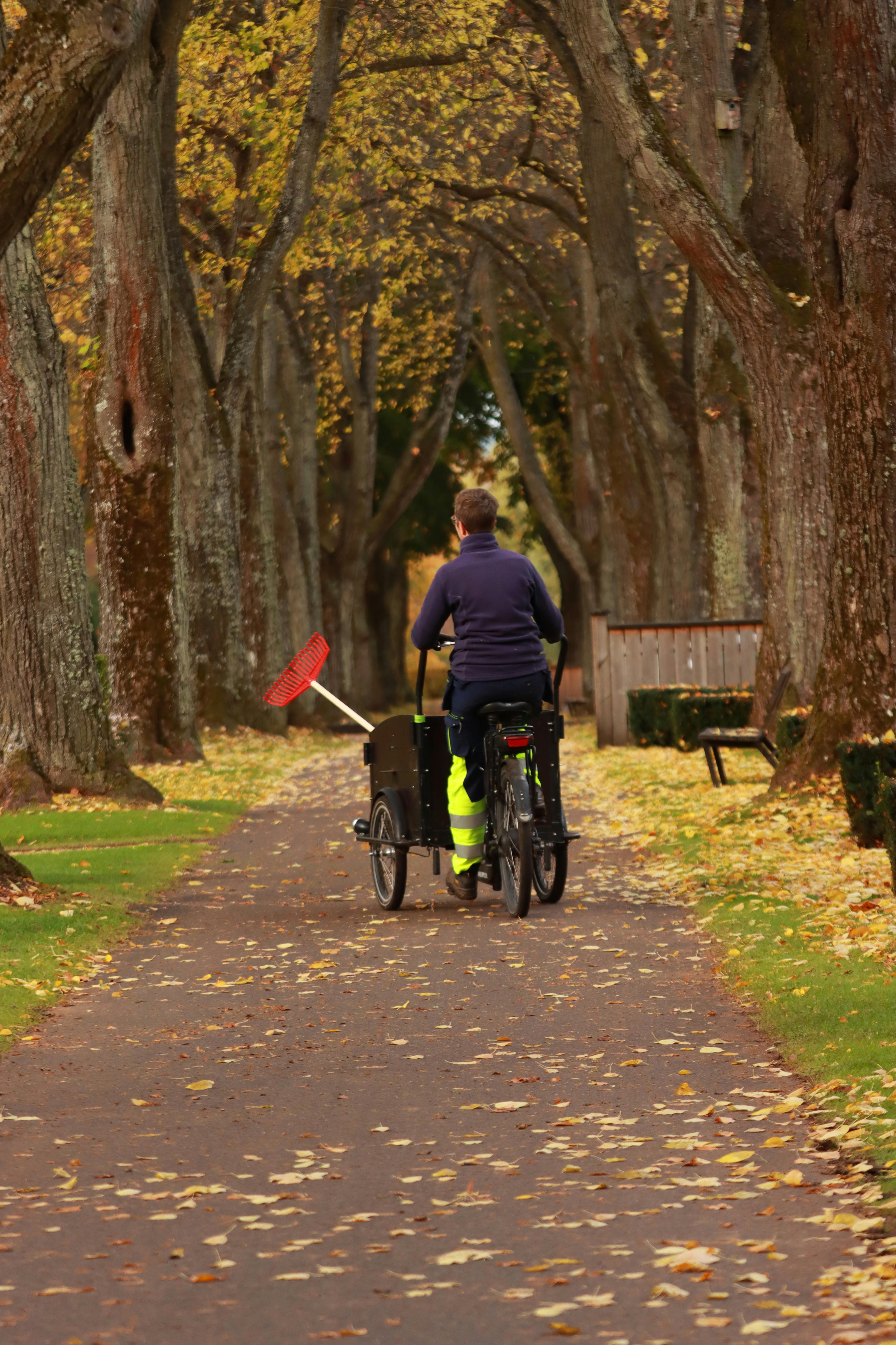 Man Riding Bicycle in Autumn Park · Free Stock Photo