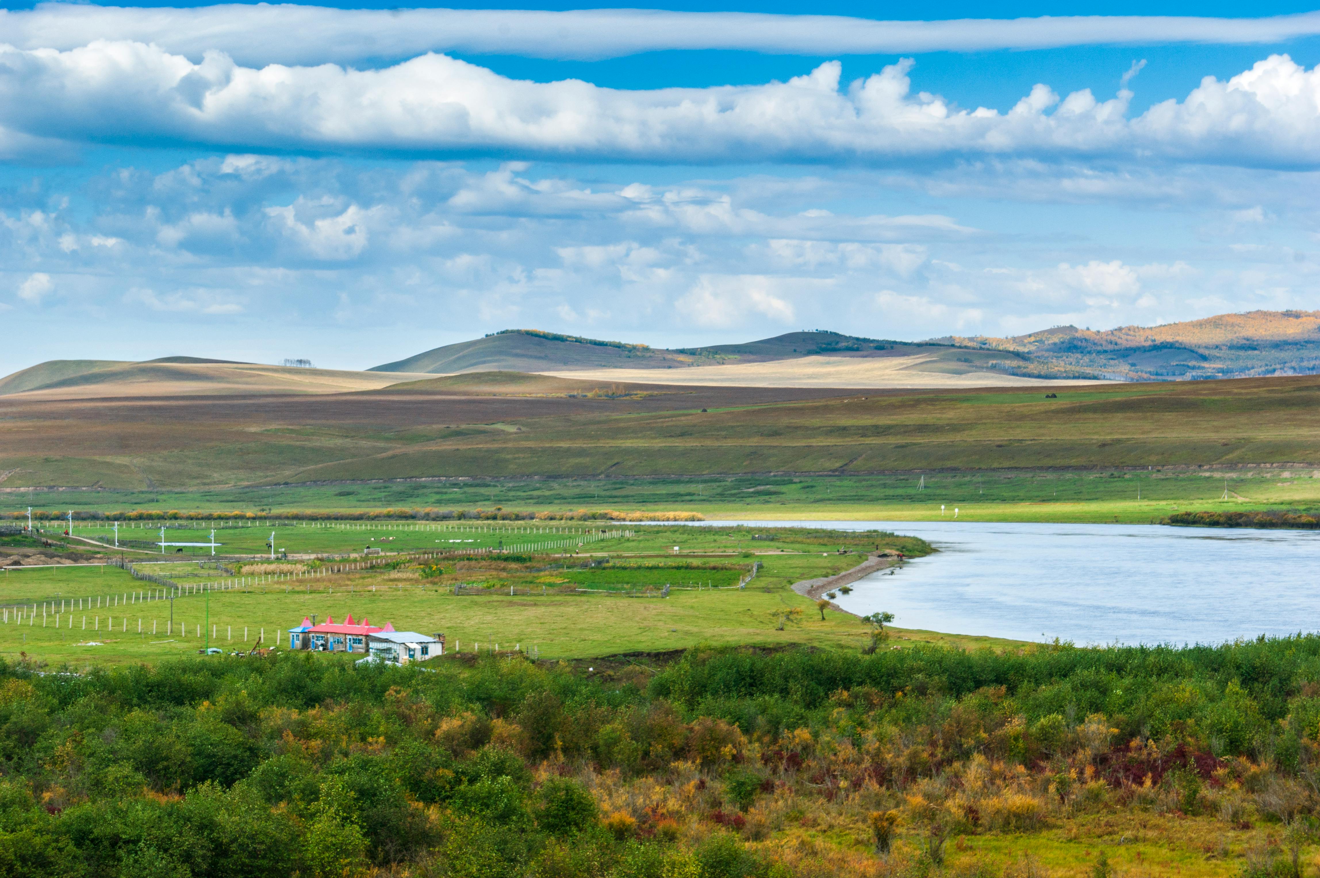 Top View Photography of Green Forest · Free Stock Photo