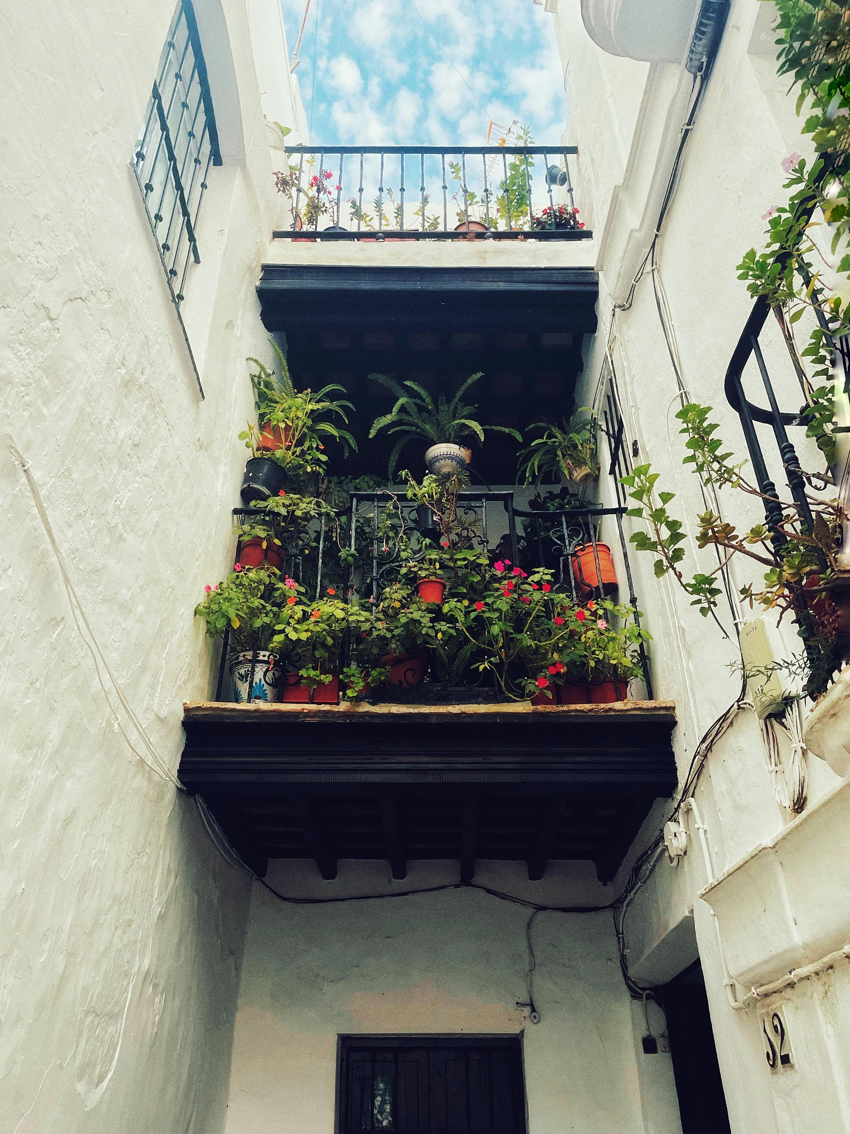 Joshua Hartmann - 사진