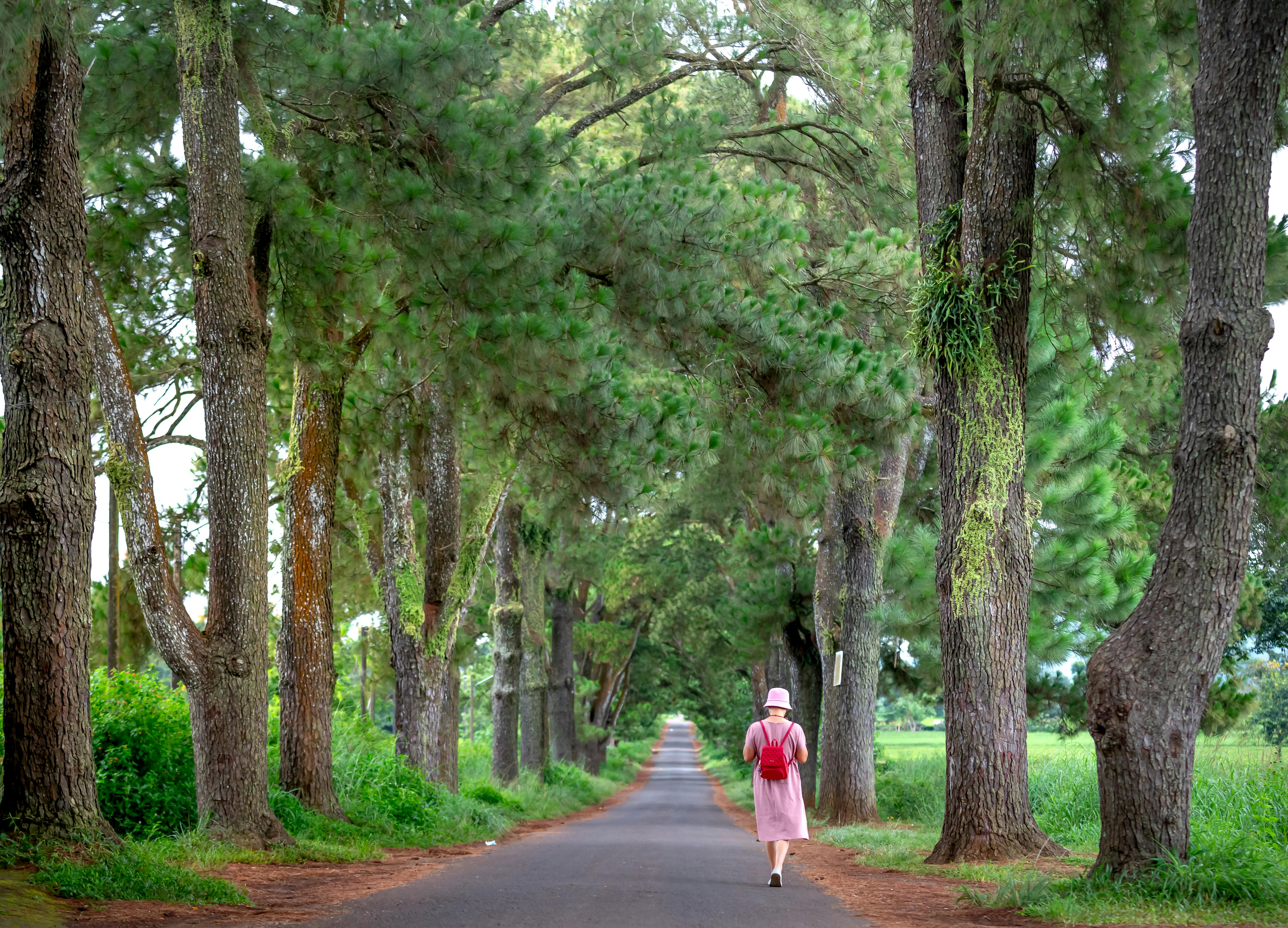 Woman Walking on the Countryside Road · Free Stock Photo