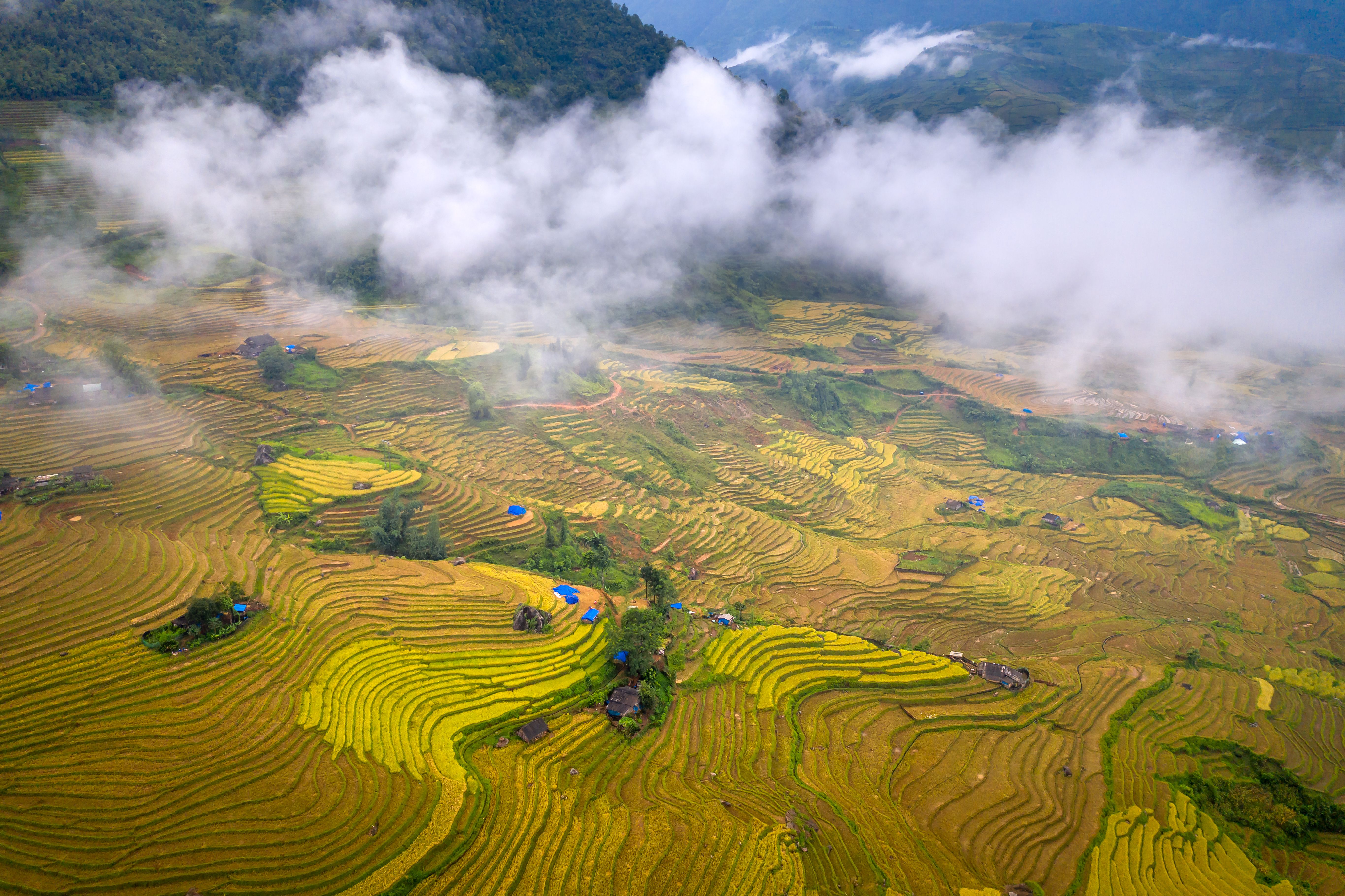 Landscape of a Terrace Farmland in Vietnam · Free Stock Photo