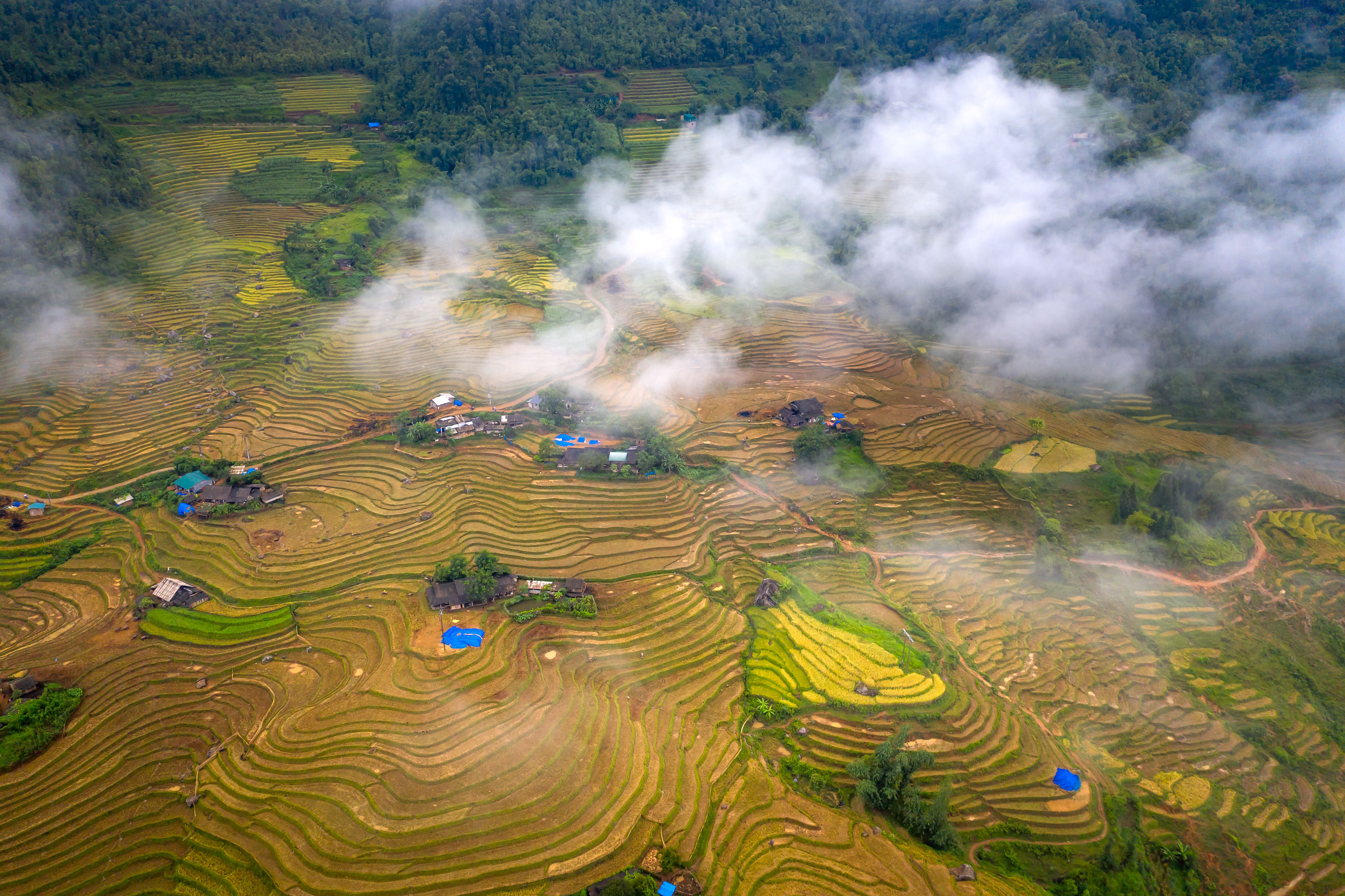 Aerial View of Banaue Rice Terraces Agricultural Land · Free Stock Photo