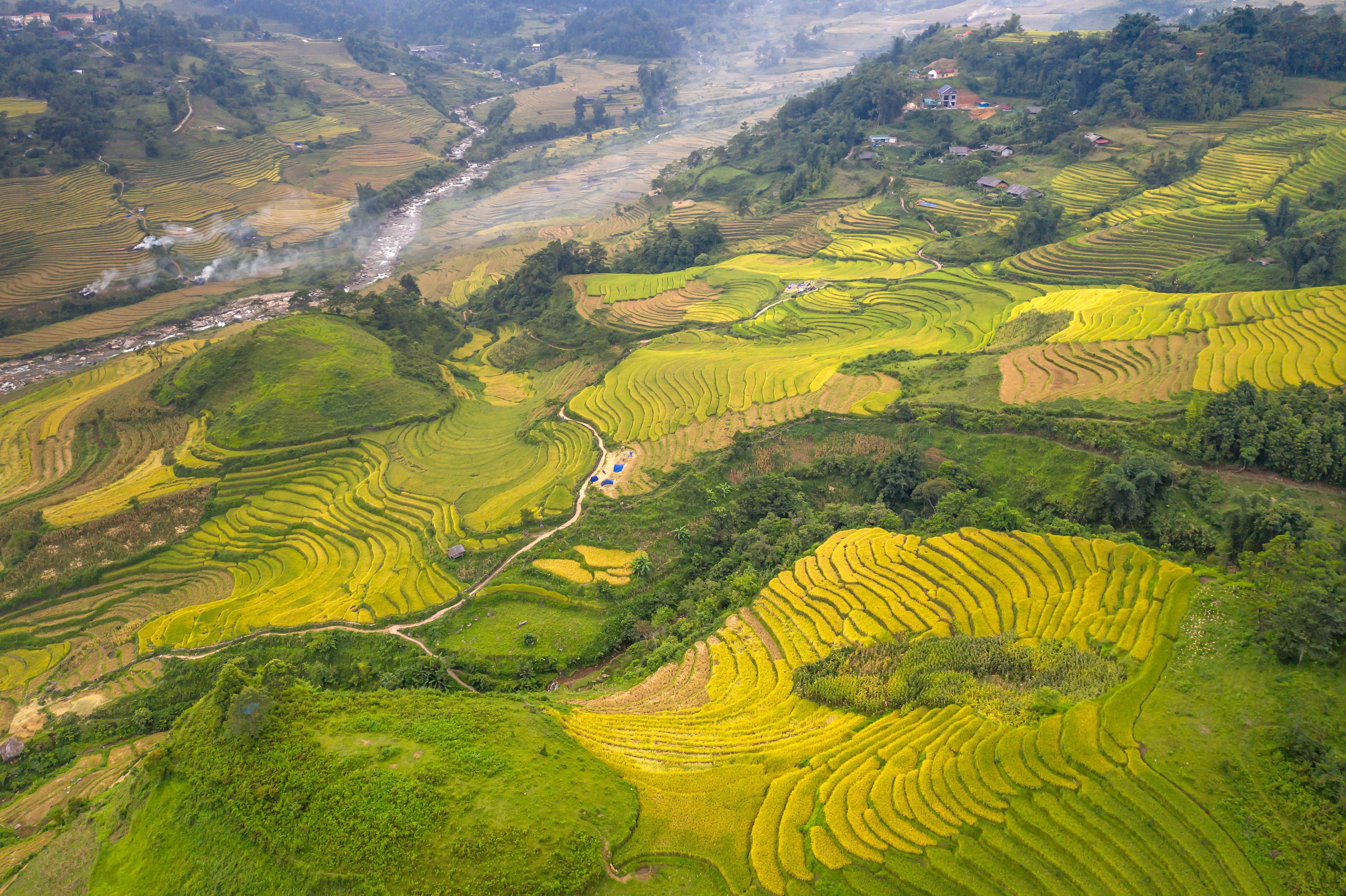 Landscape of a Terrace Farmland in Vietnam · Free Stock Photo