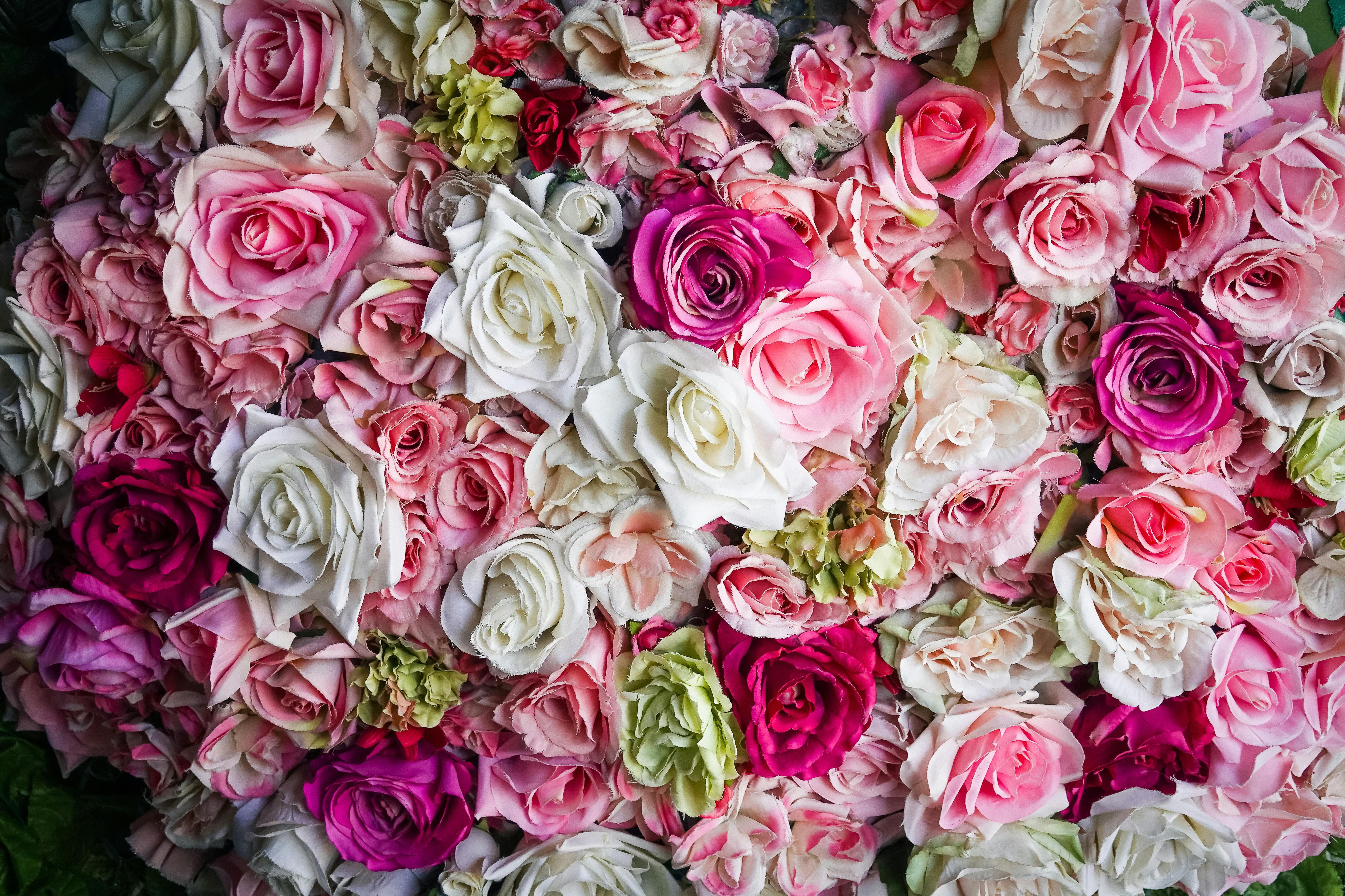 Bouquet of Colorful Roses · Free Stock Photo