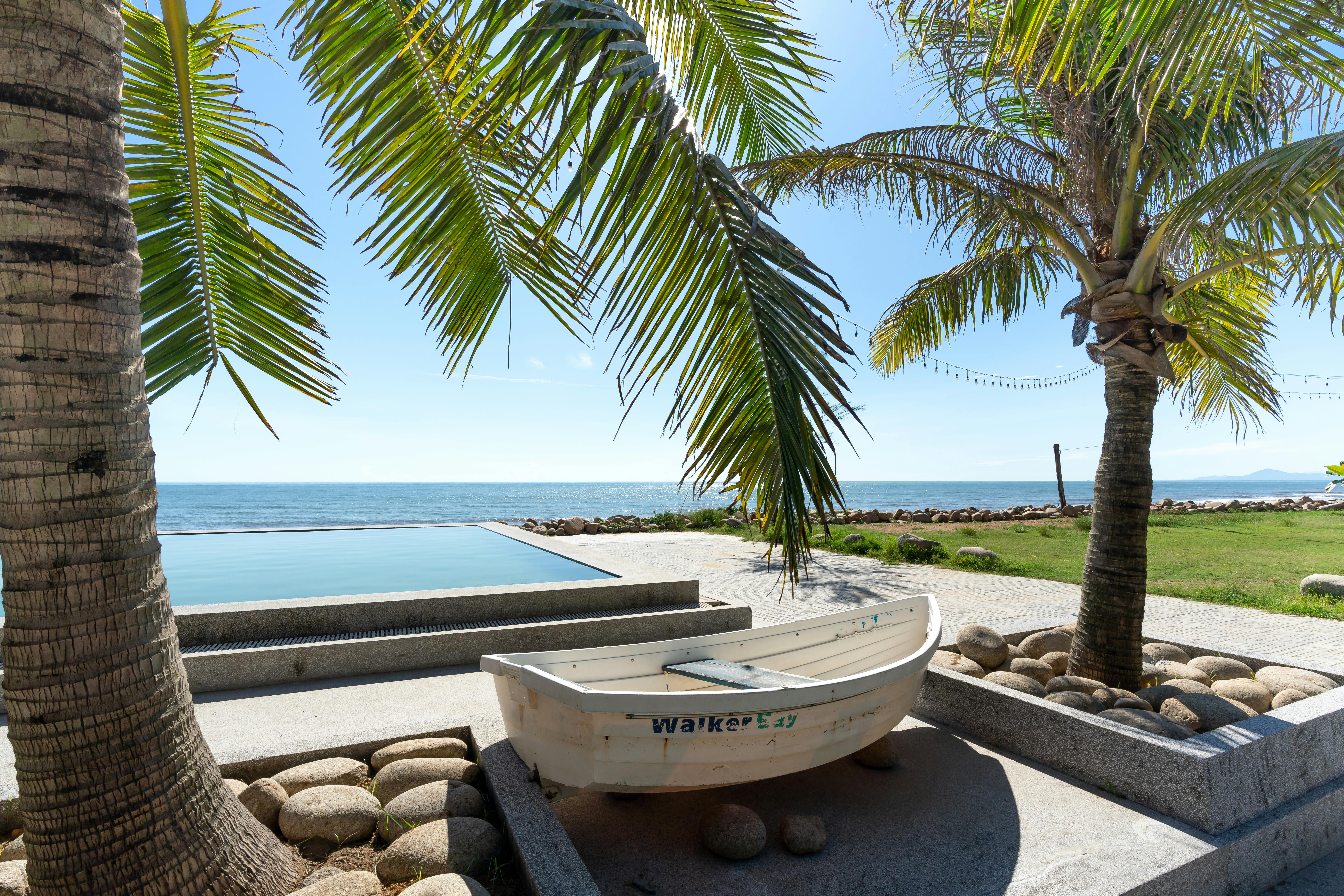 Swimming Pool under Palm Trees on the Shore · Free Stock Photo