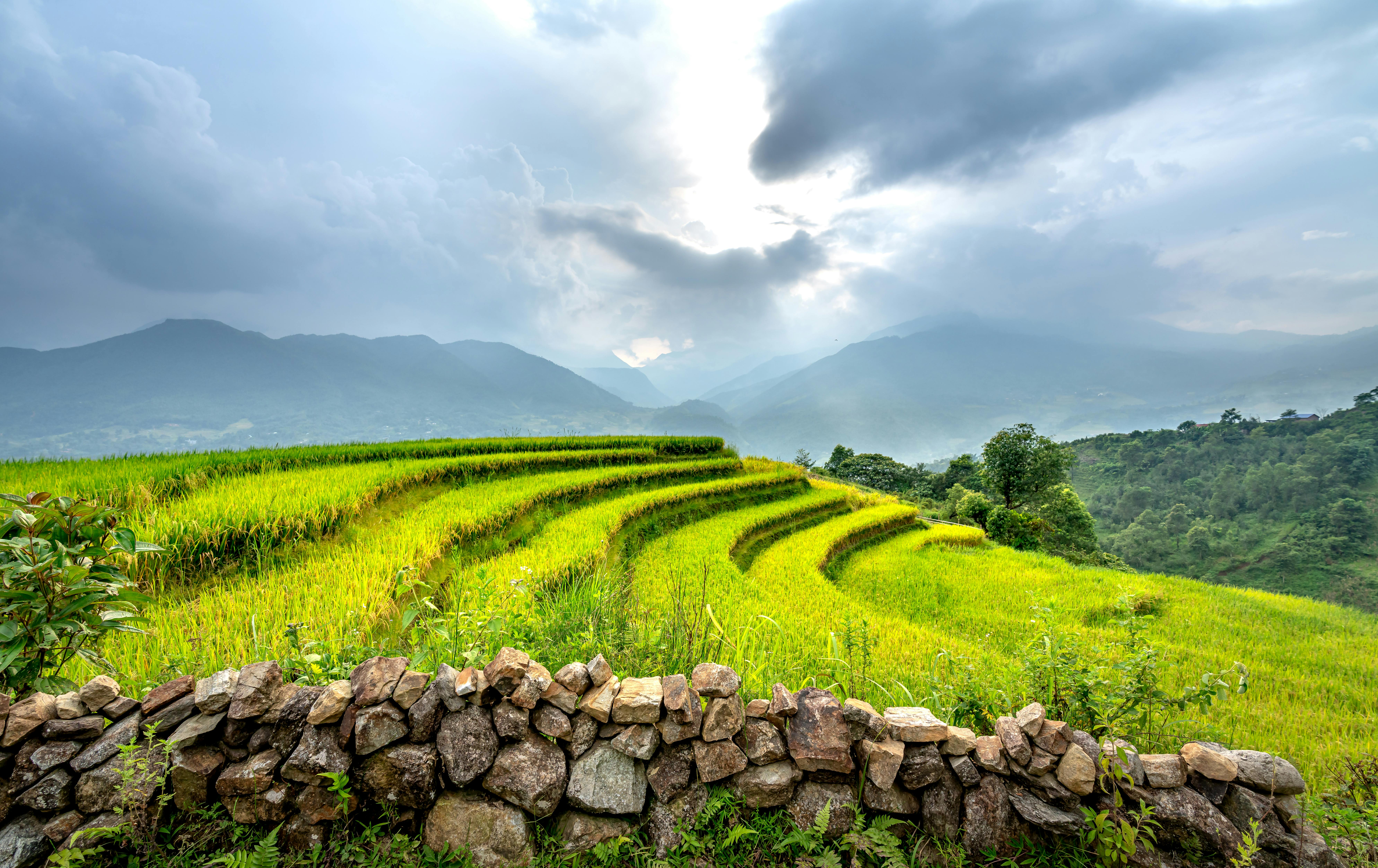 A Beautiful Rice Terraces Under Blue Sky · Free Stock Photo
