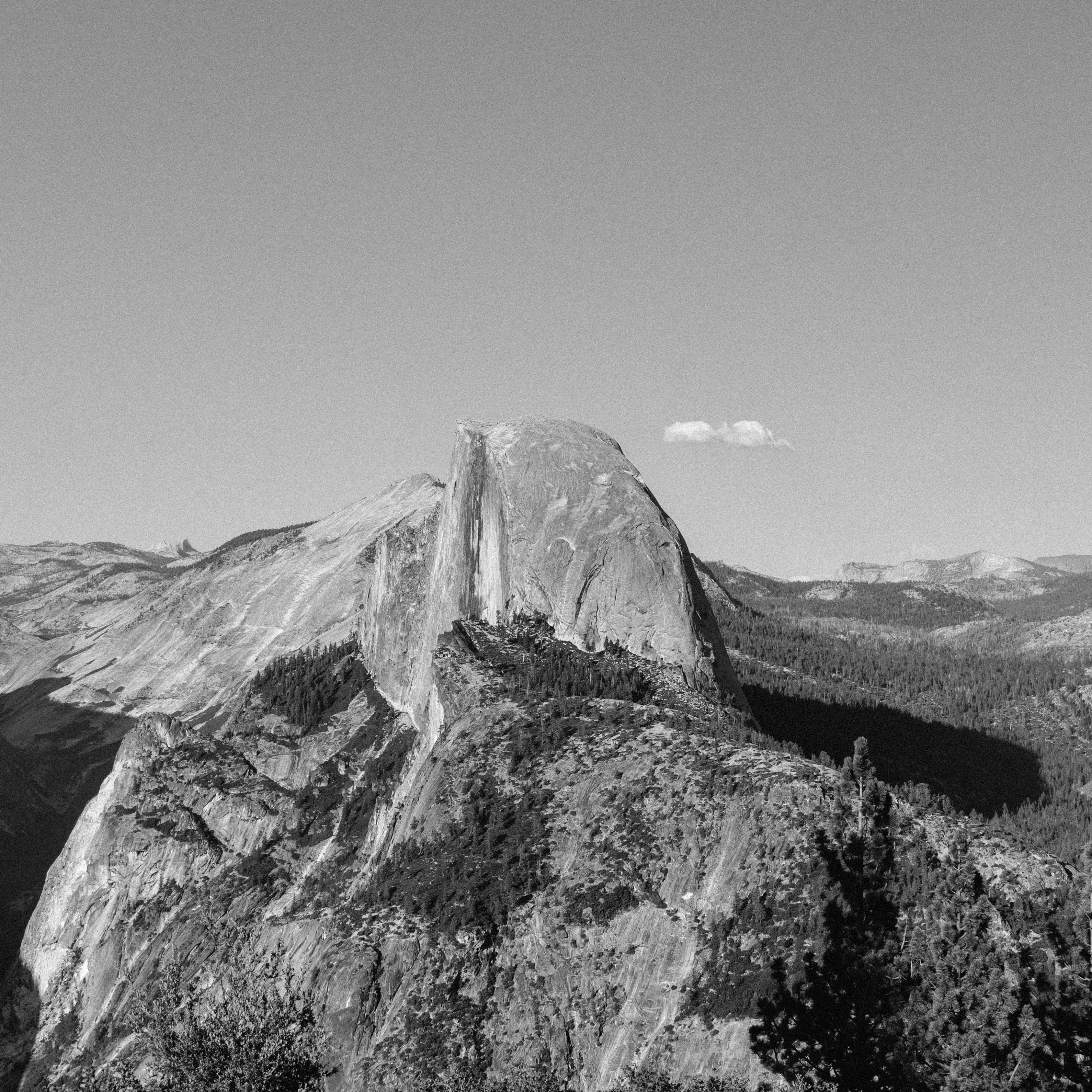 Grayscale Photography of Trees on Rocky Mountain · Free Stock Photo