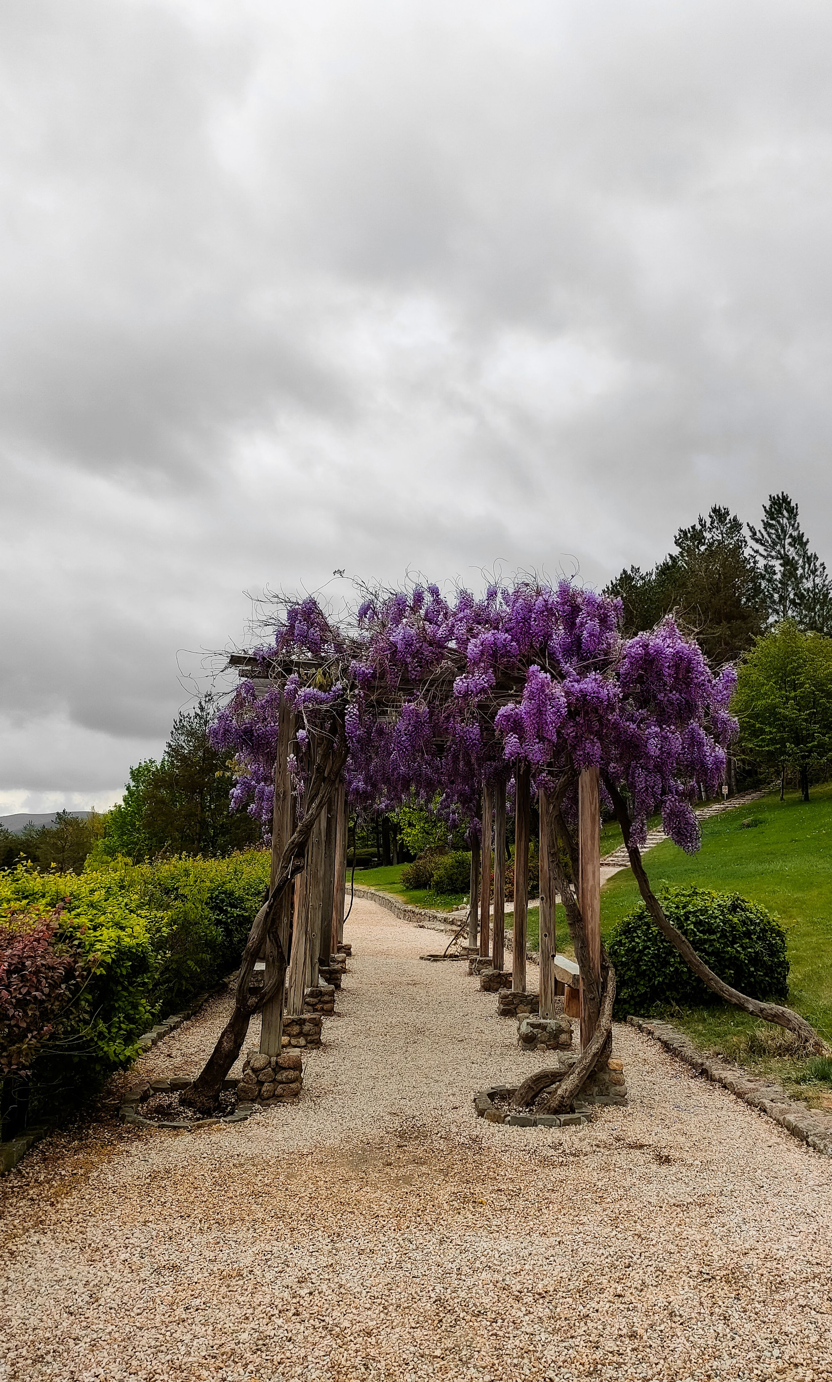 Landscape Flowers Photos, Download The BEST Free Landscape Flowers ...