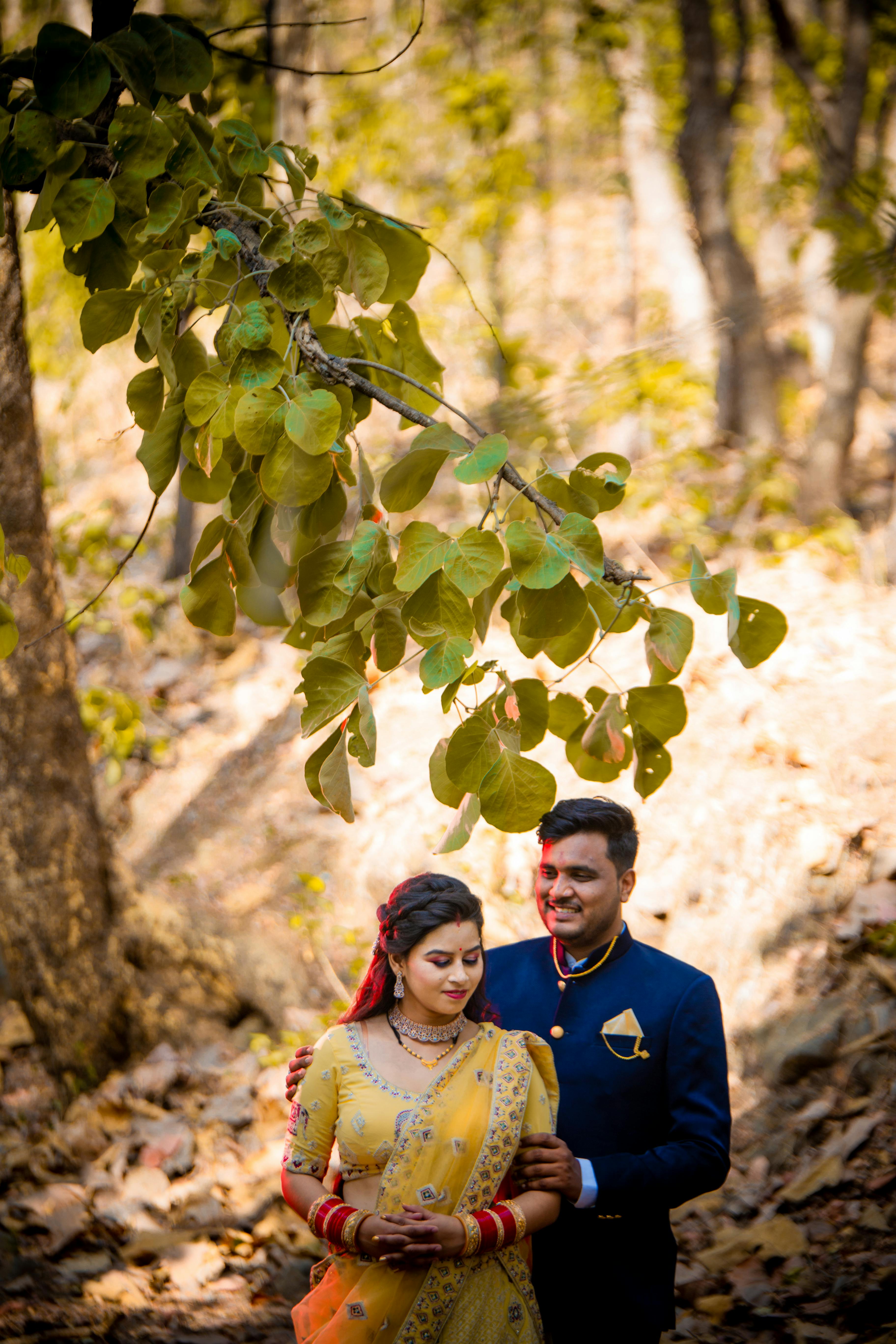 Yellow Saree Photos, Download The BEST Free Yellow Saree Stock Photos ...