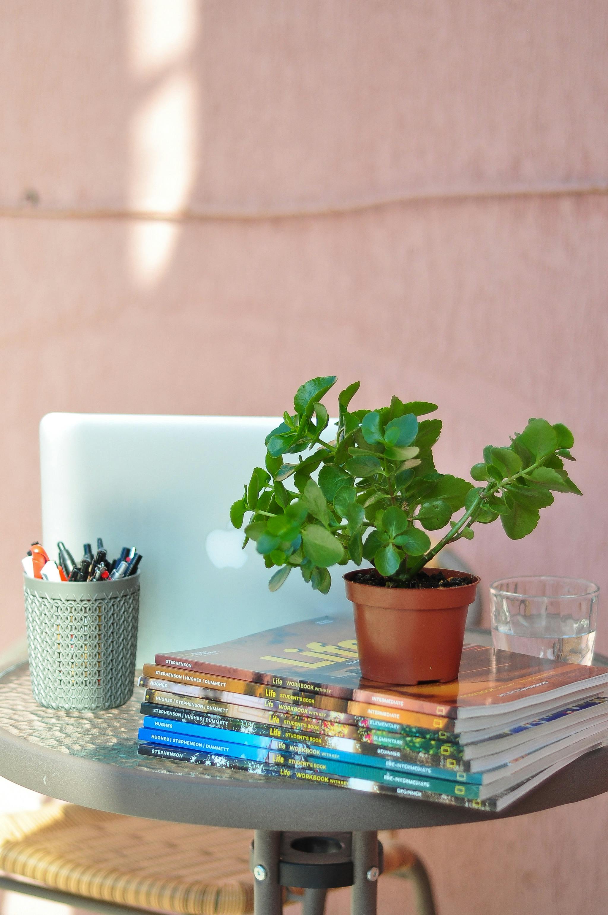 Books and a Plant on a Table · Free Stock Photo