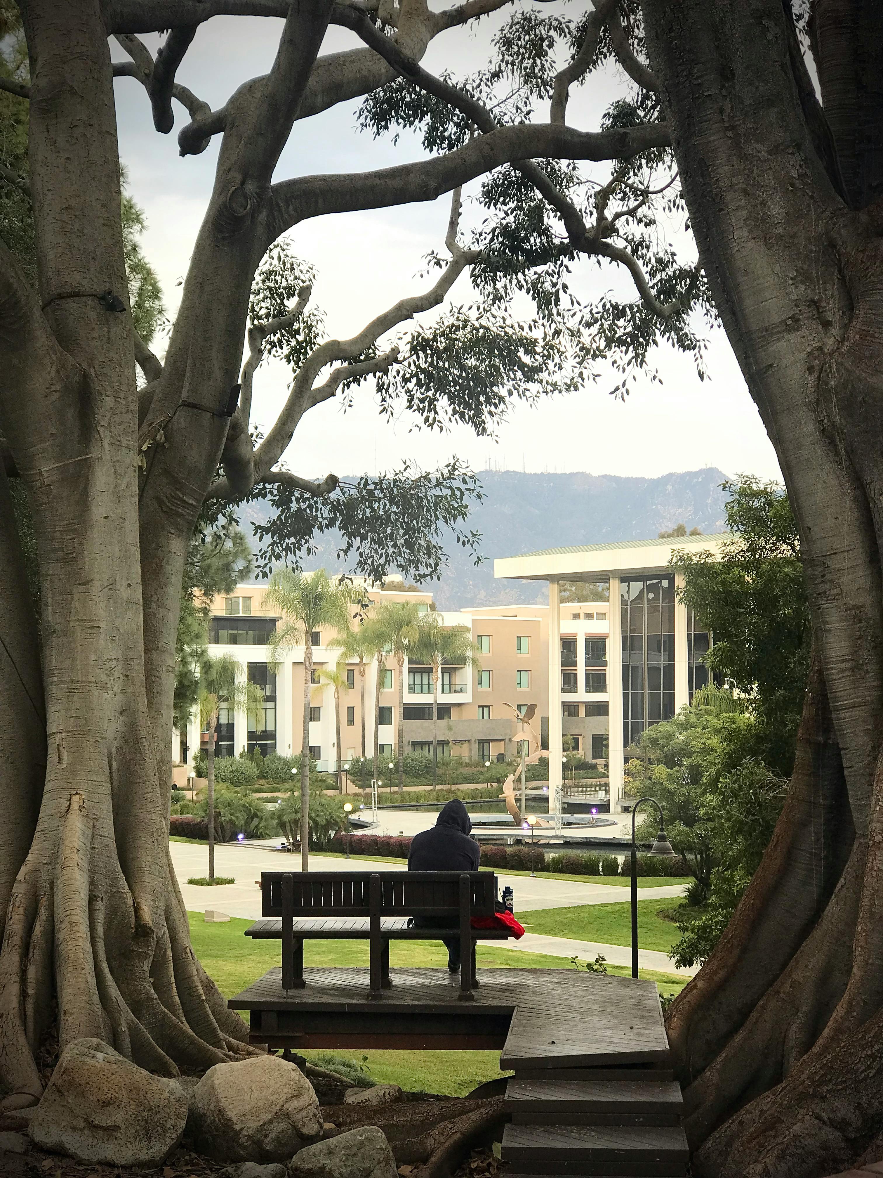 Photo of Woman Sitting on Bench · Free Stock Photo