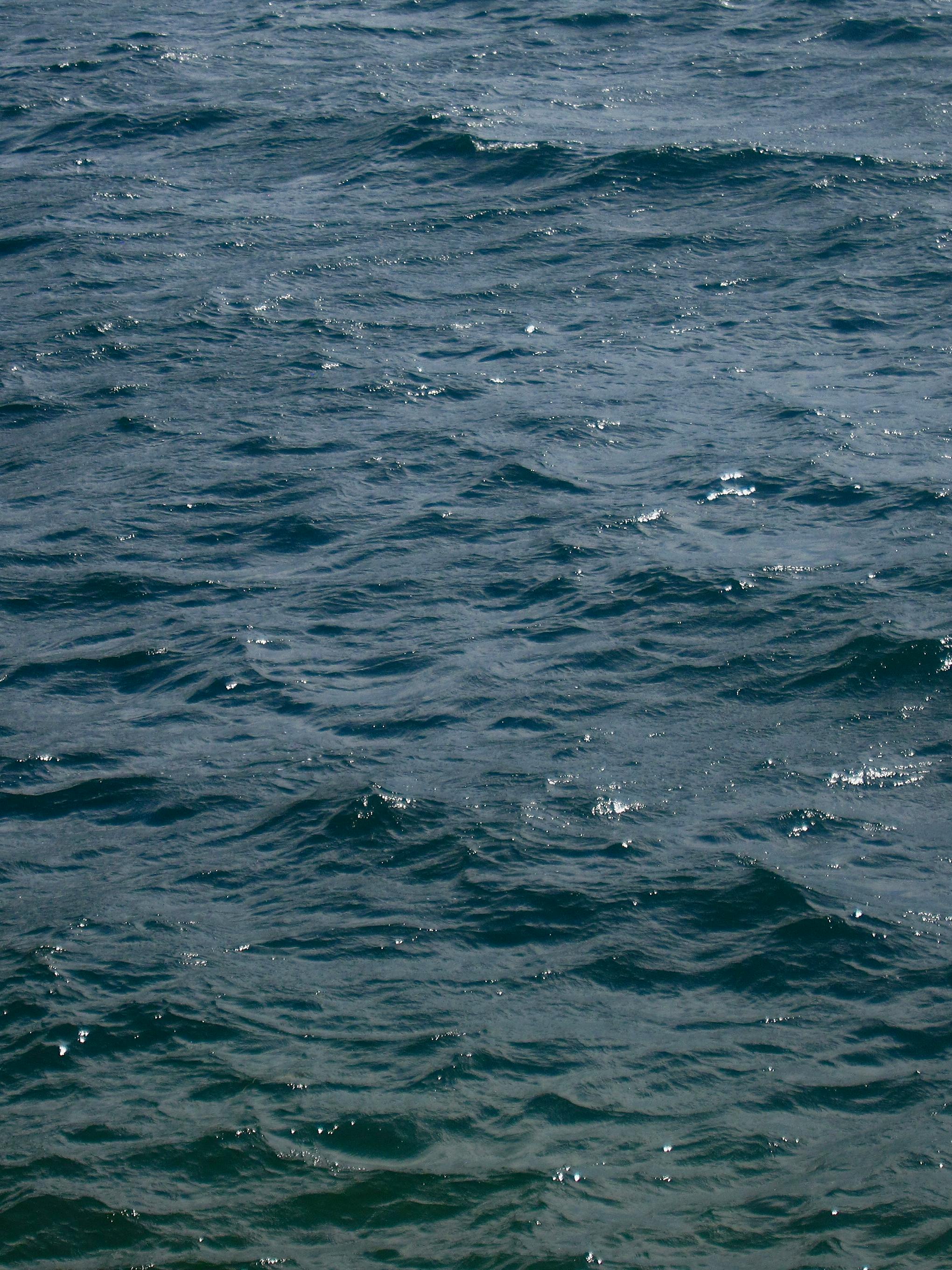 Calm Water on the Sea · Free Stock Photo