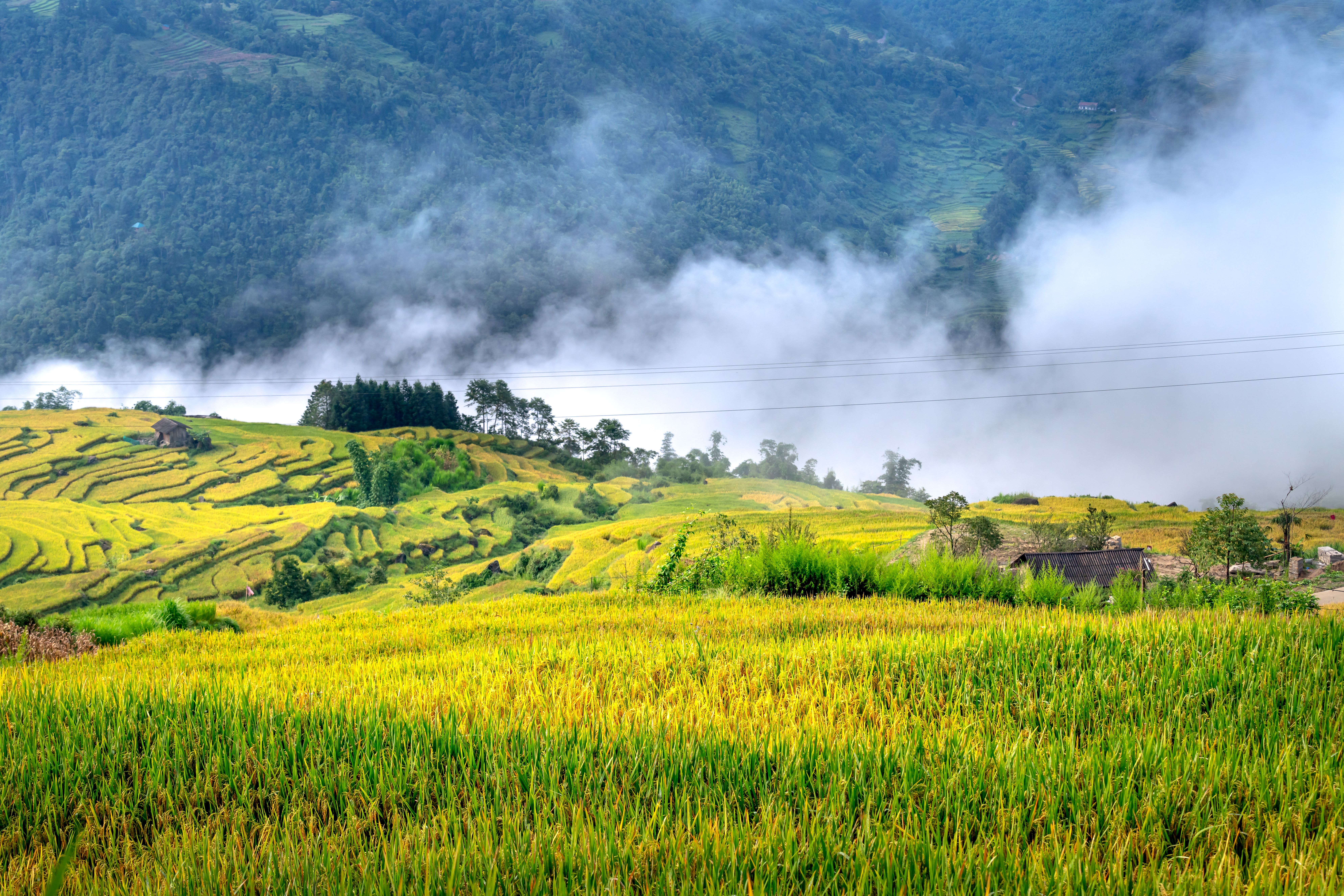 Aerial Photography of Rice Terraces · Free Stock Photo