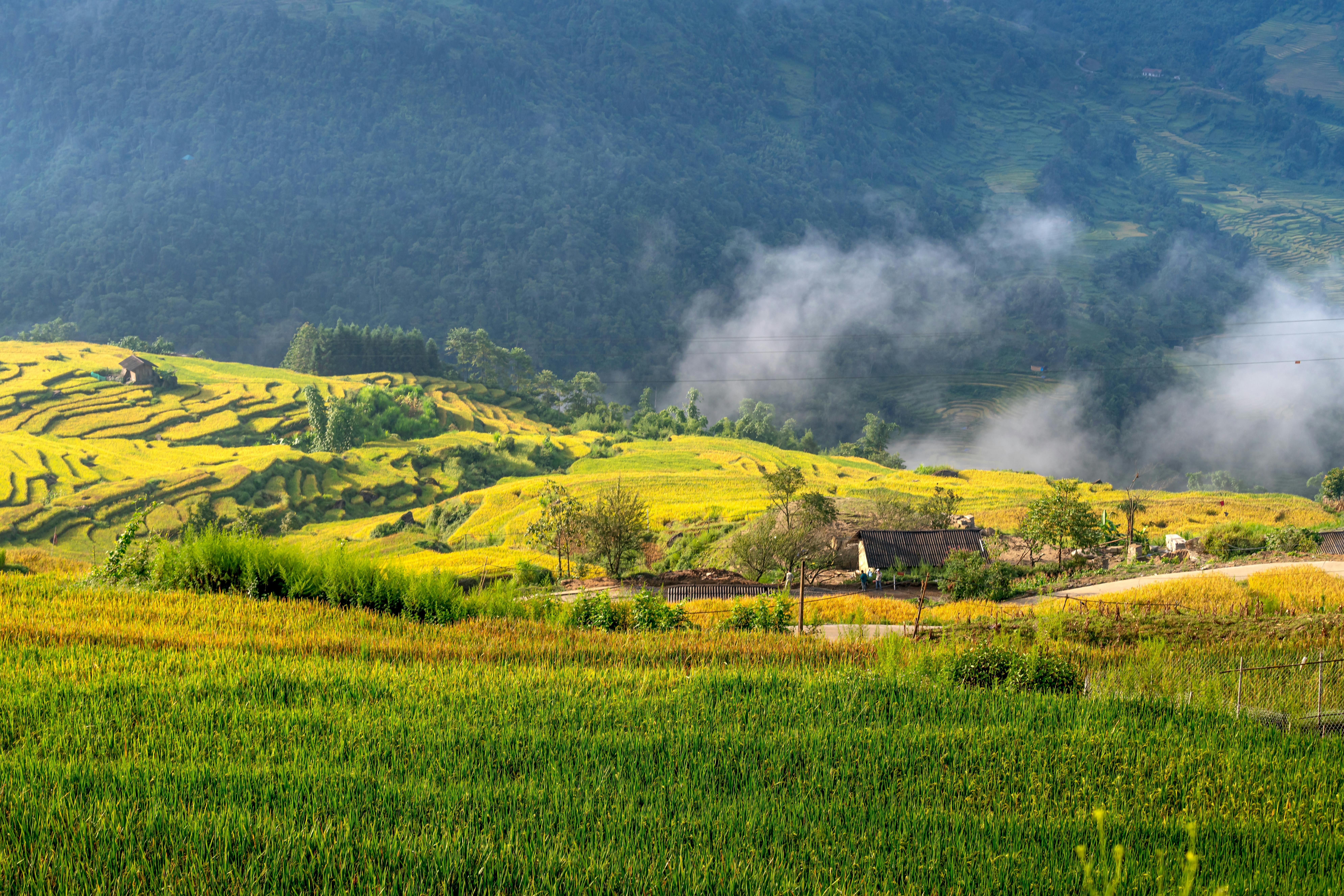 Scenic View of a Rural Landscape · Free Stock Photo