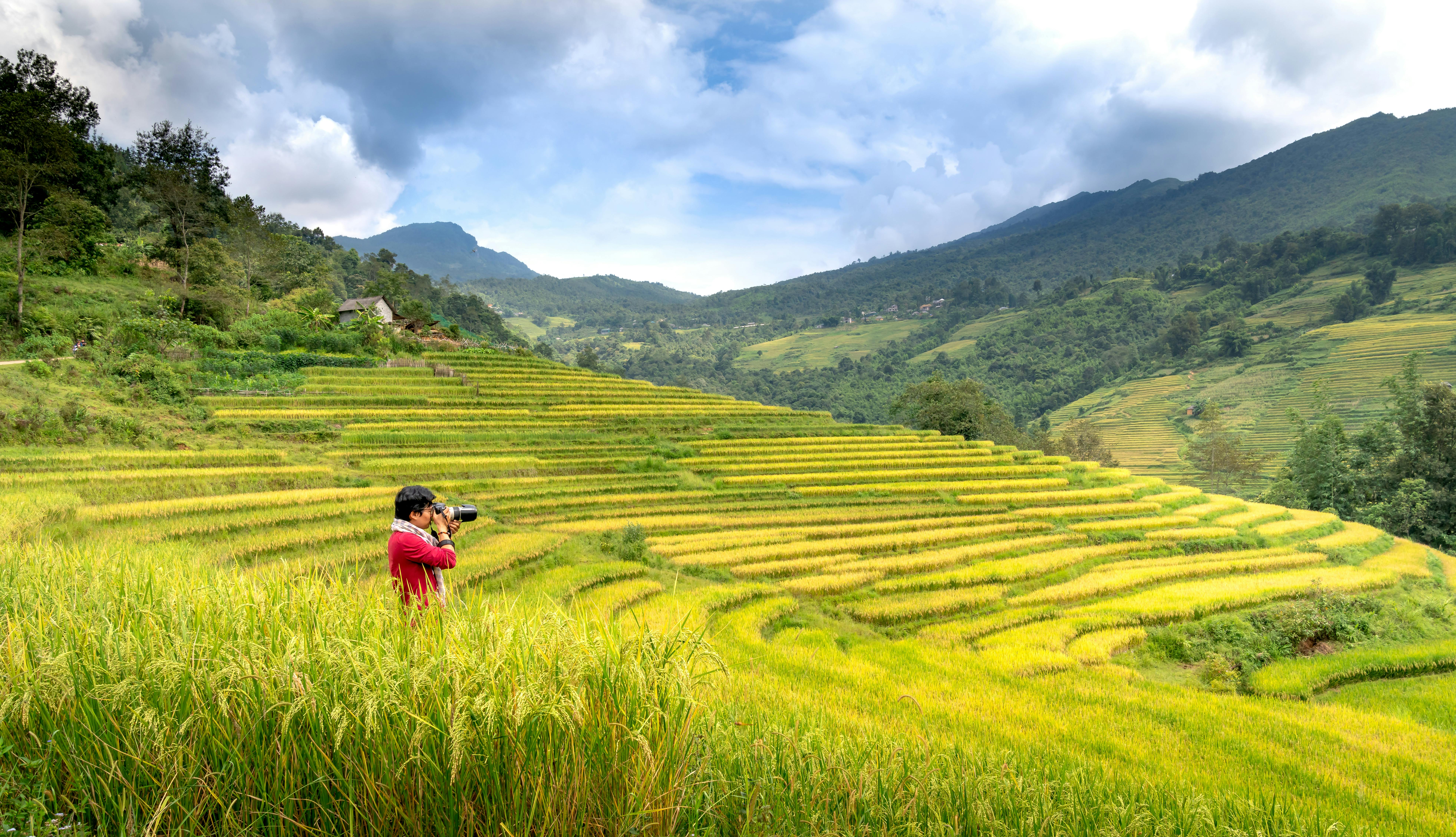 Photographer Taking a Photo of Rice Paddies · Free Stock Photo
