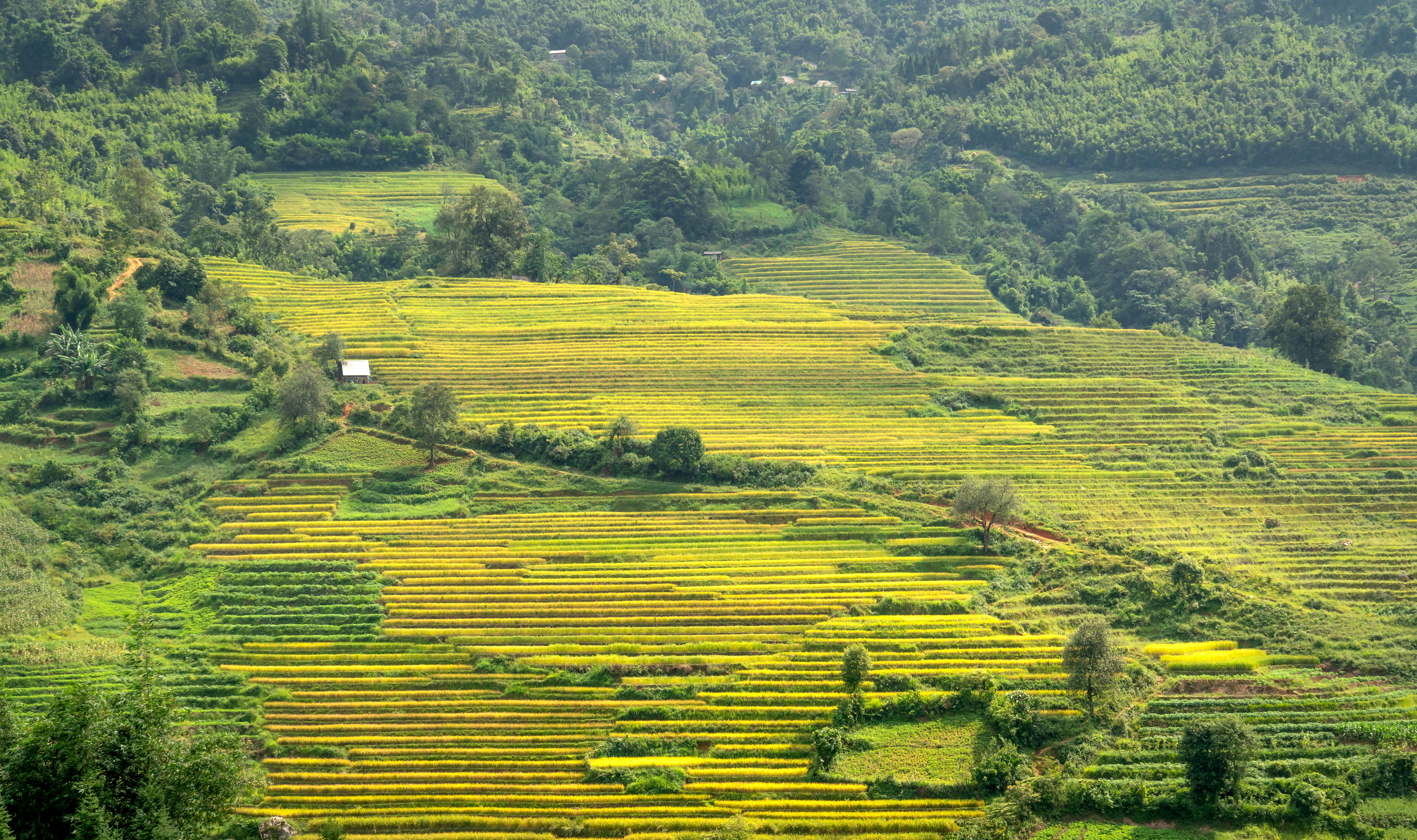 Rural area with fields against green hills · Free Stock Photo