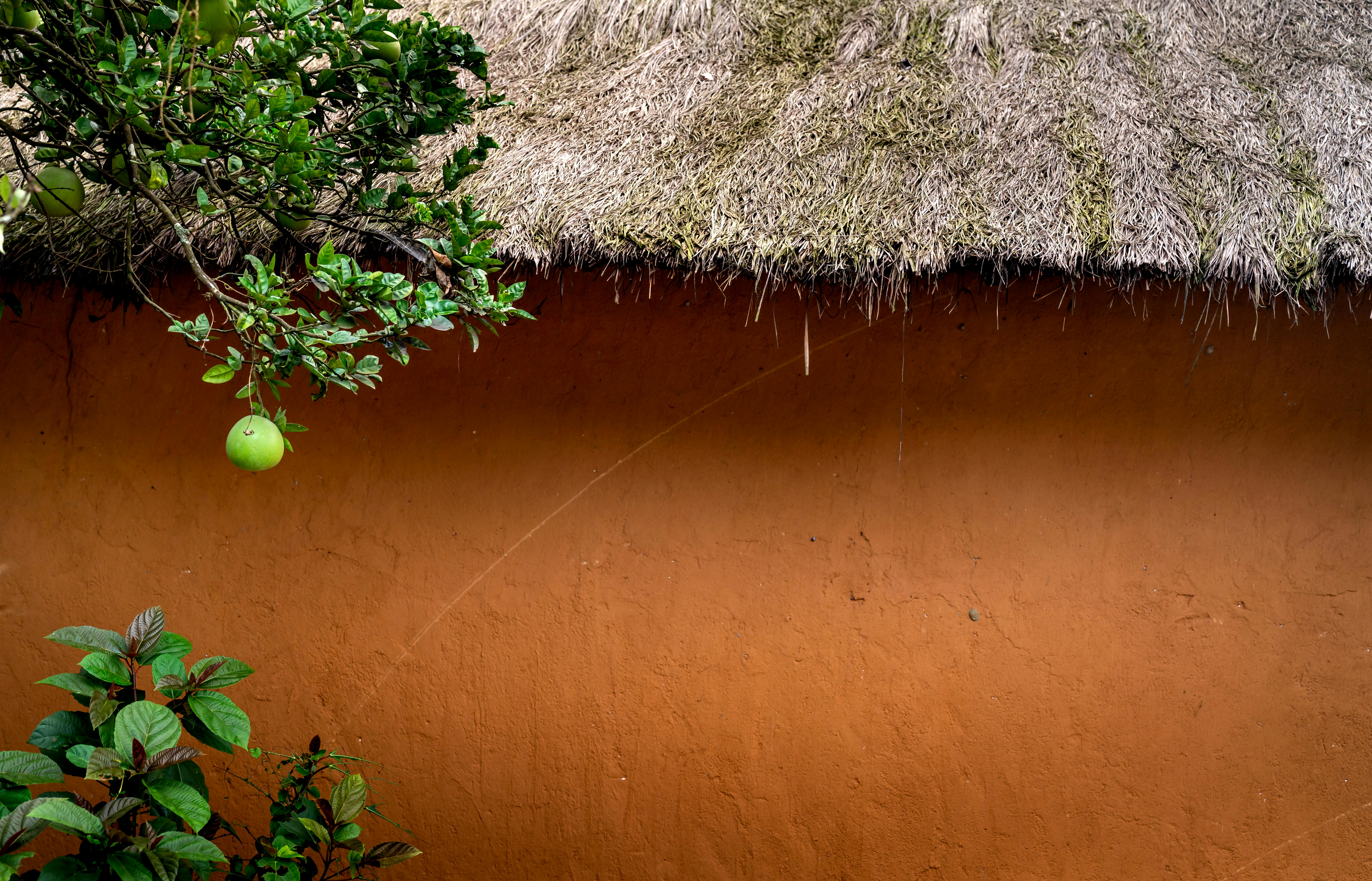 Easyanticheat Setup.Exe Nipa There Photos, Download The BEST Free ...