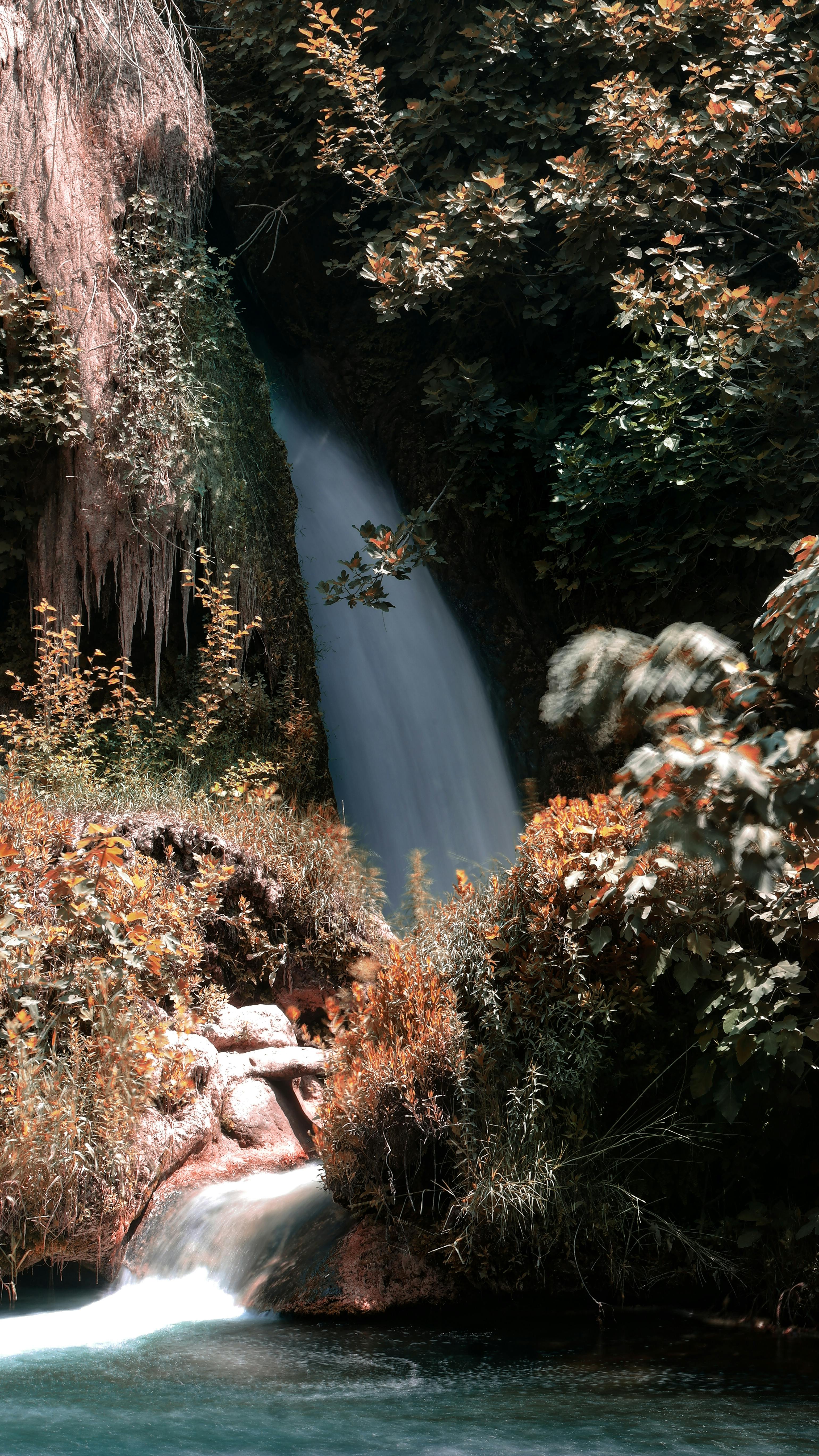 Waterfall in Forest · Free Stock Photo