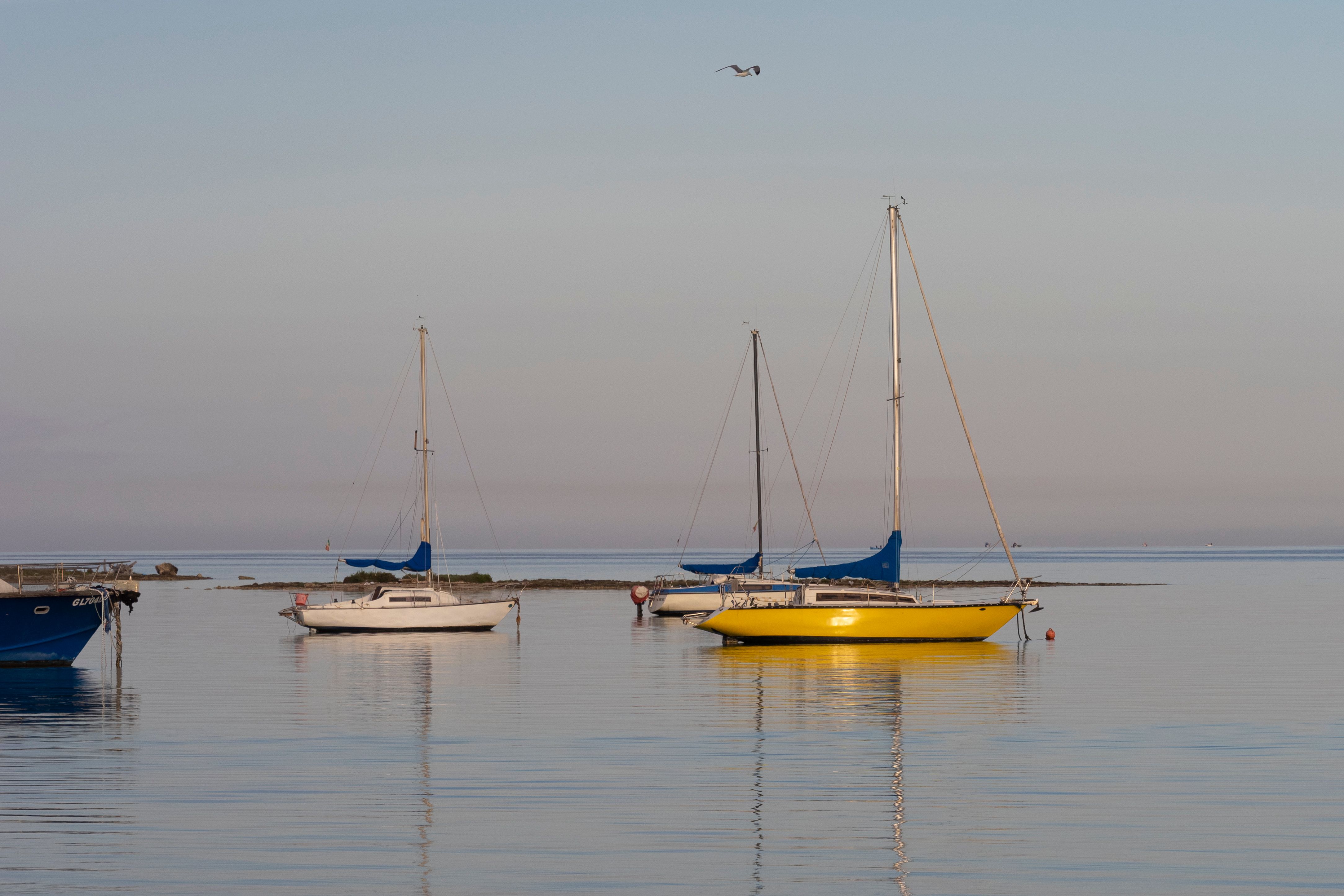 Sailboats on Sea · Free Stock Photo