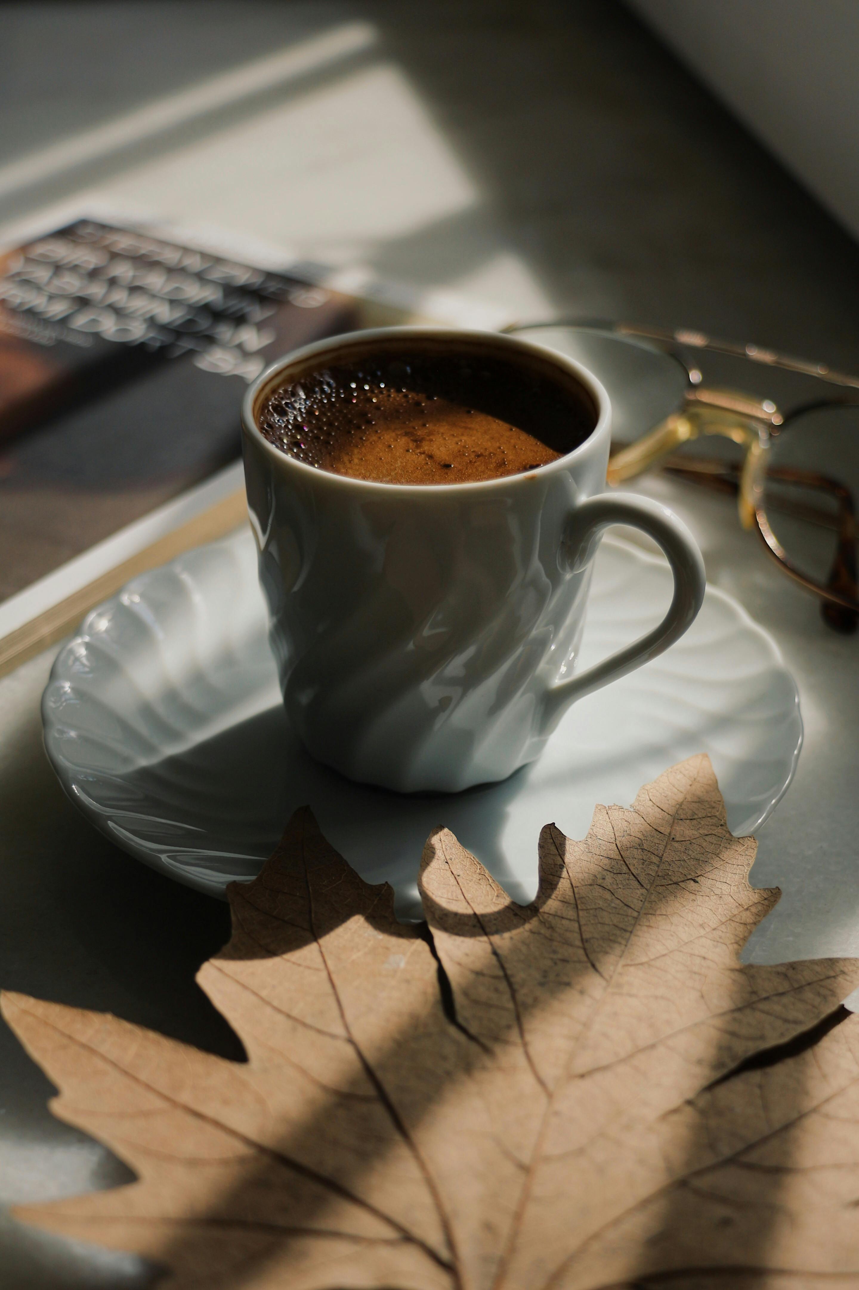 Folded Leaf Photos, Download Free Folded Leaf Stock Photos & HD Images