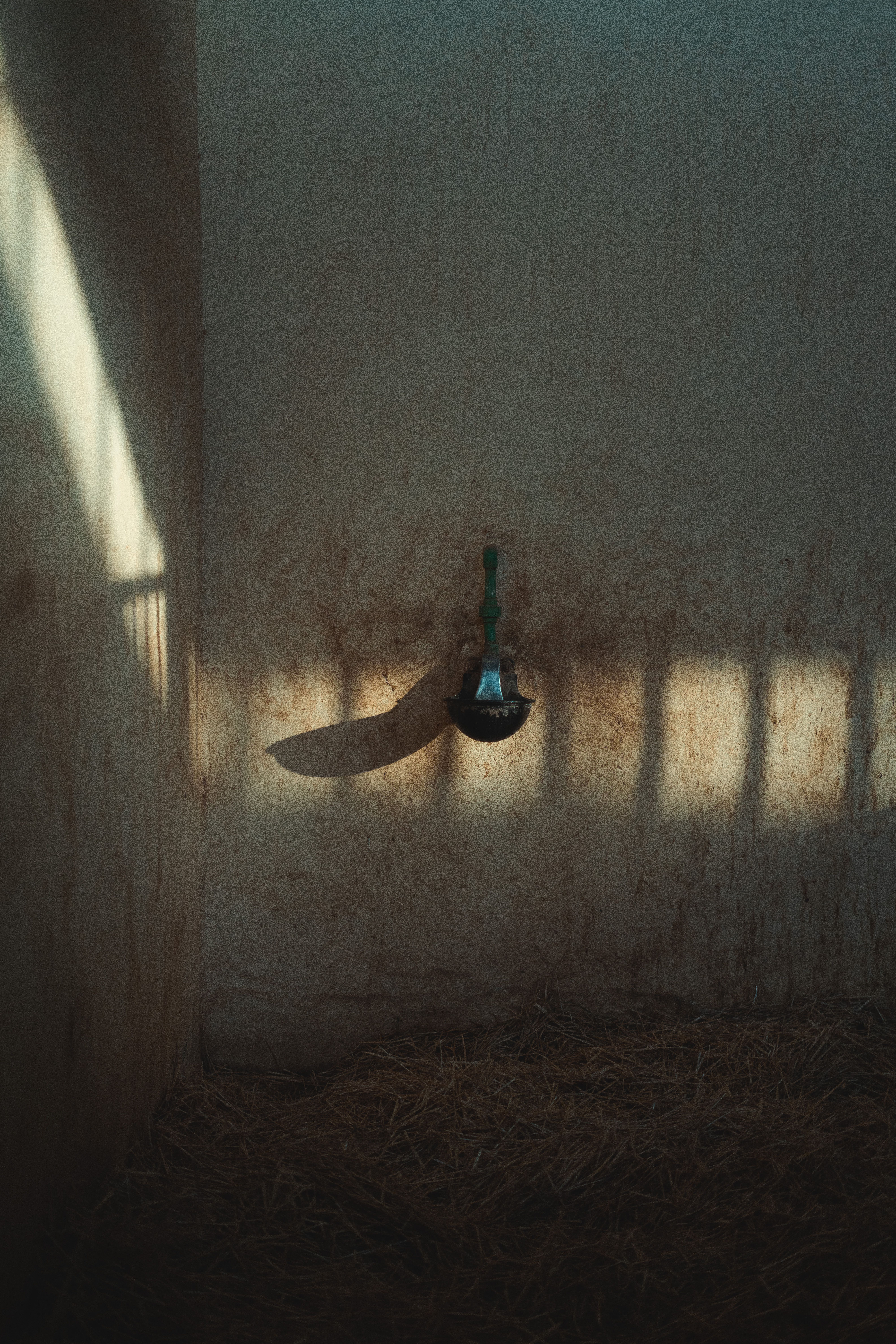 Barn Tap Photos, Download The BEST Free Barn Tap Stock Photos & HD Images