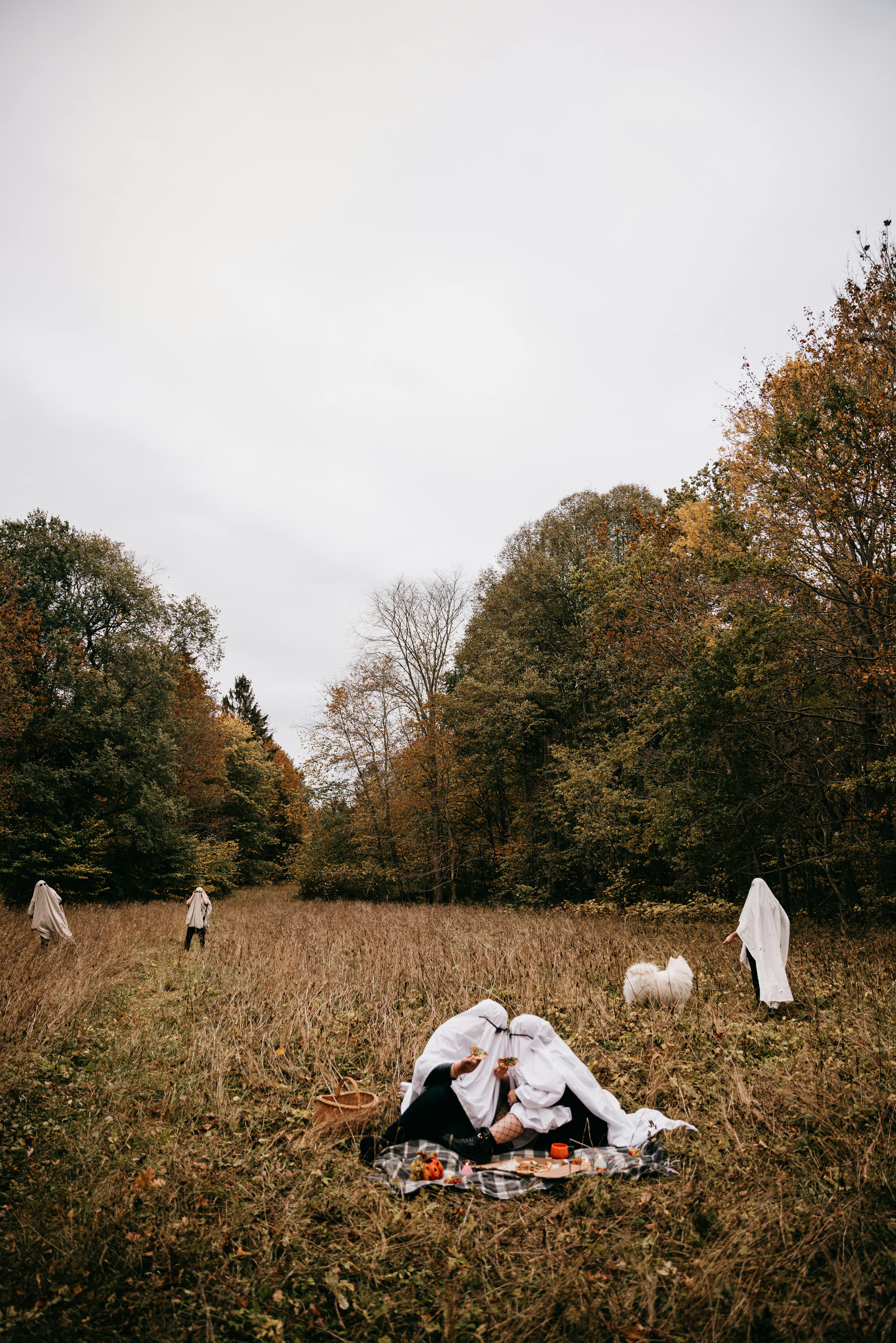 Group of People in Ghost Costumes Standing in Field · Free Stock Photo