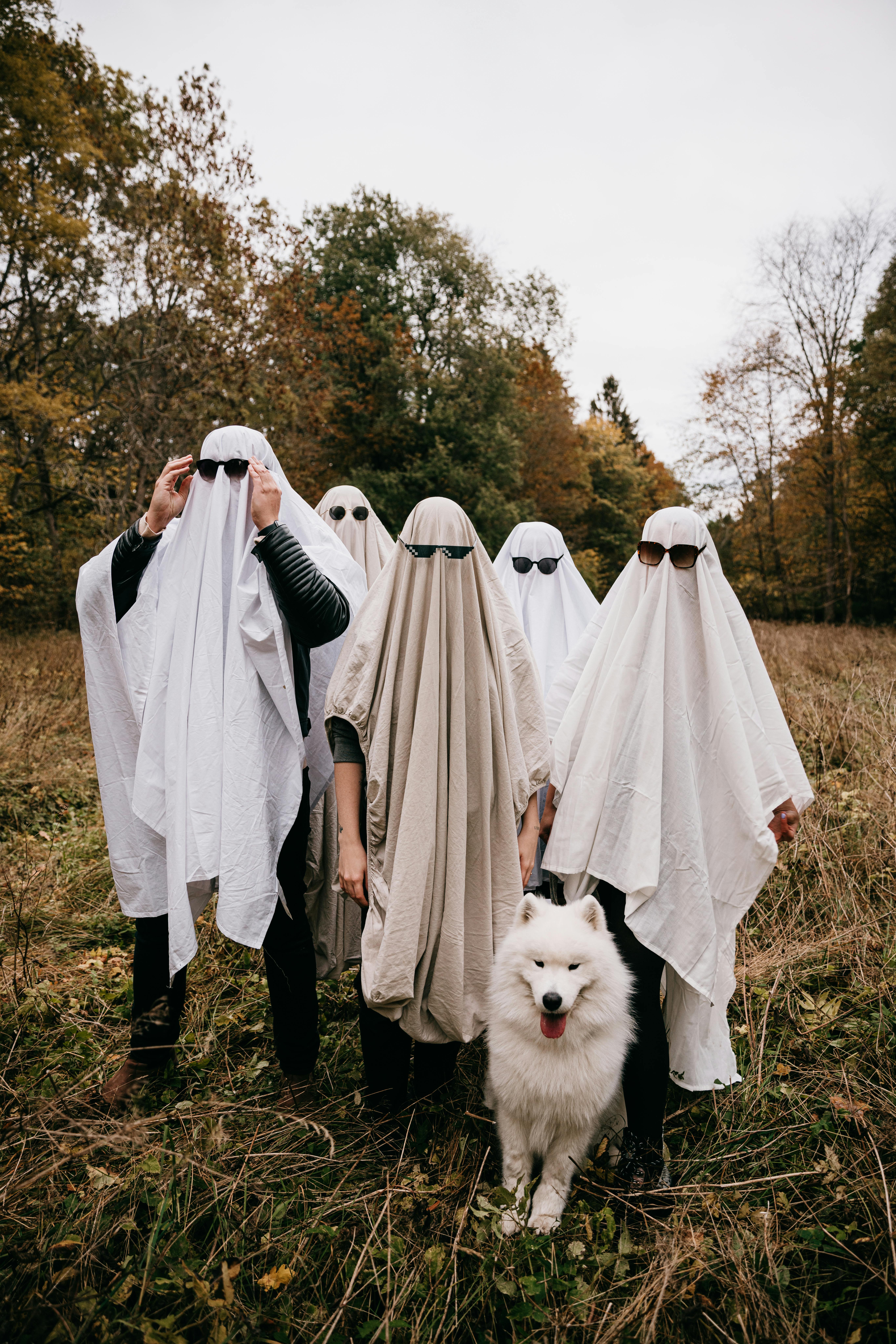 Group of People in Ghost Costumes Standing in Field · Free Stock Photo