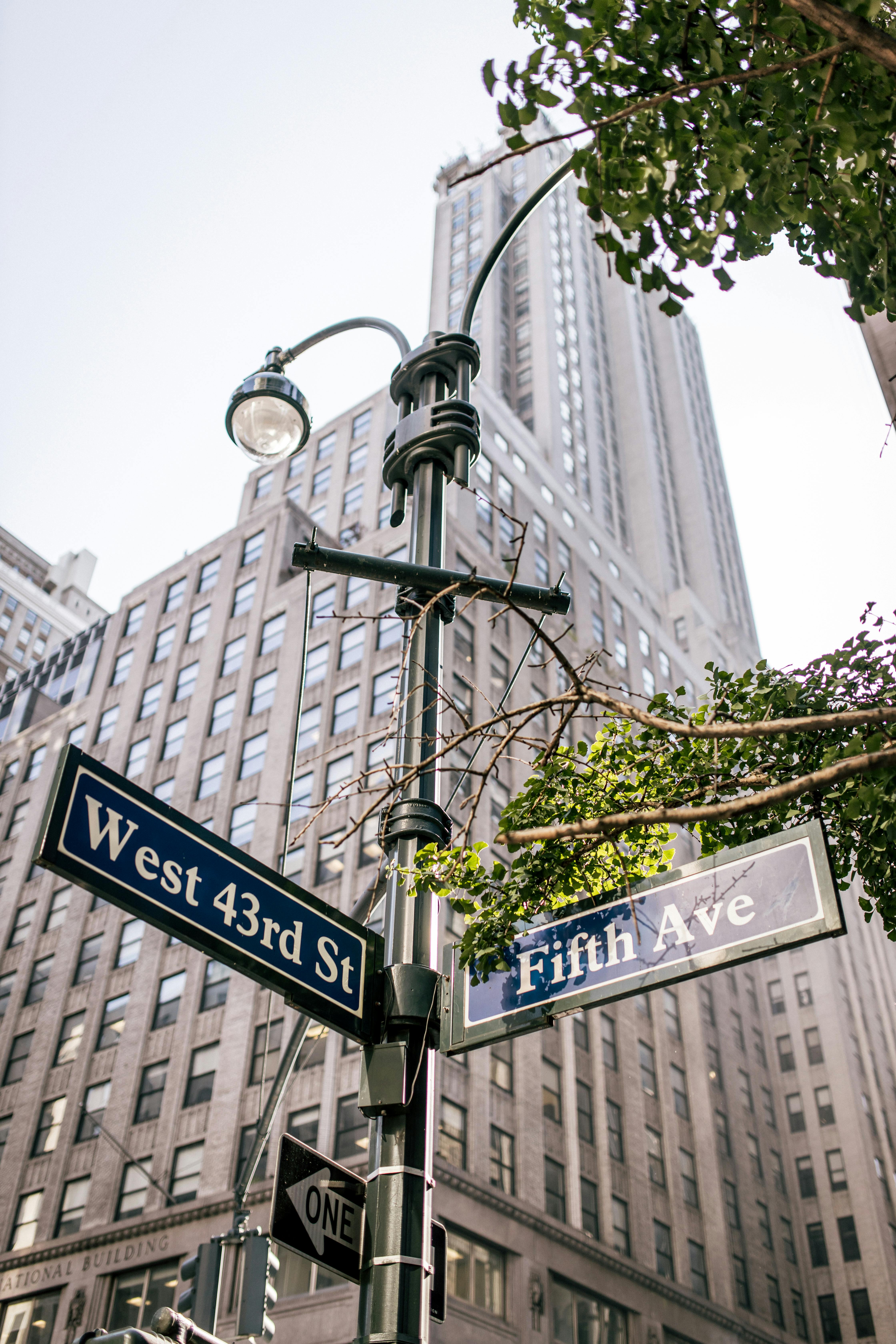 Street Light with Two Street Name Signs · Free Stock Photo