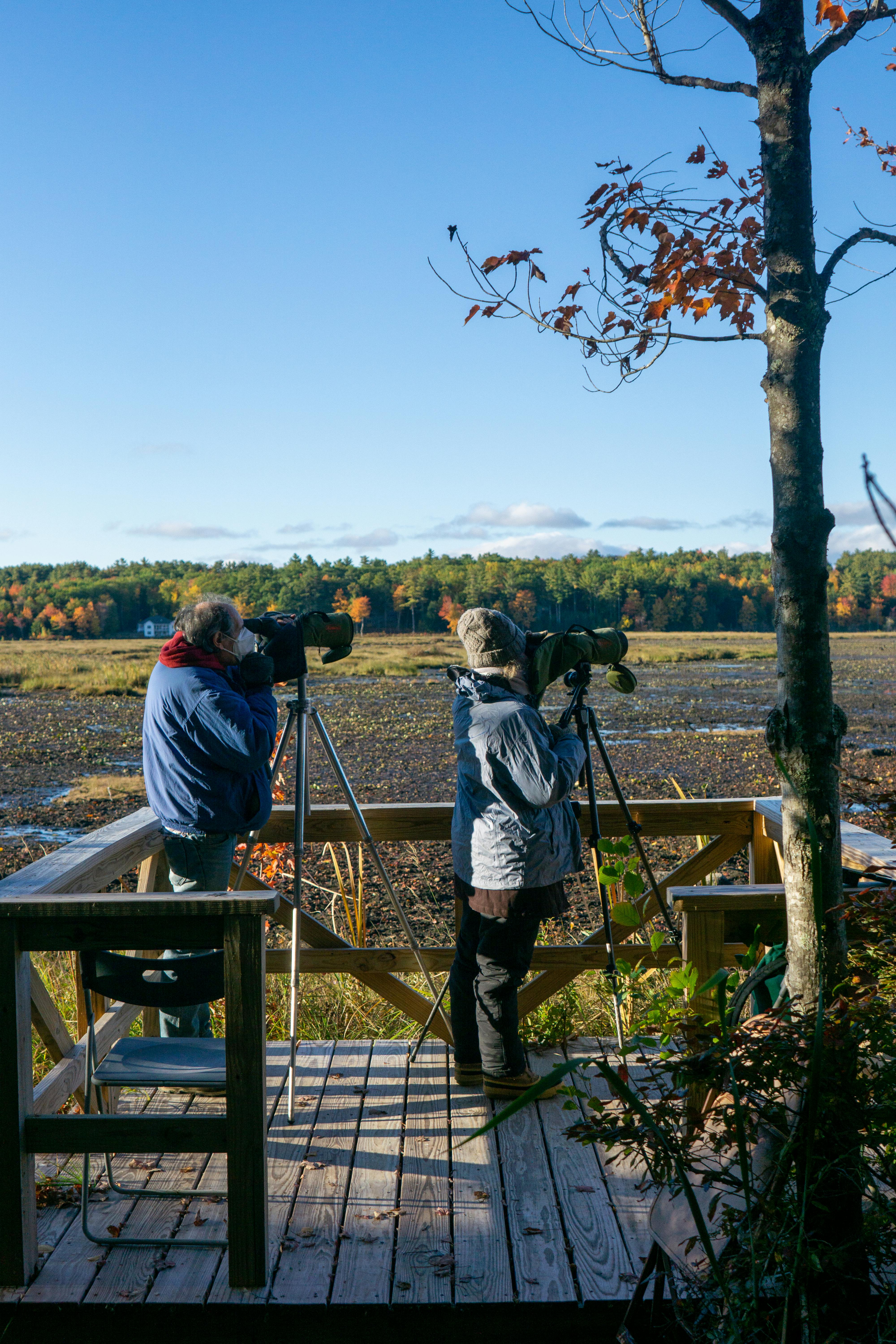 Birders Standing on a Viewing Deck · Free Stock Photo