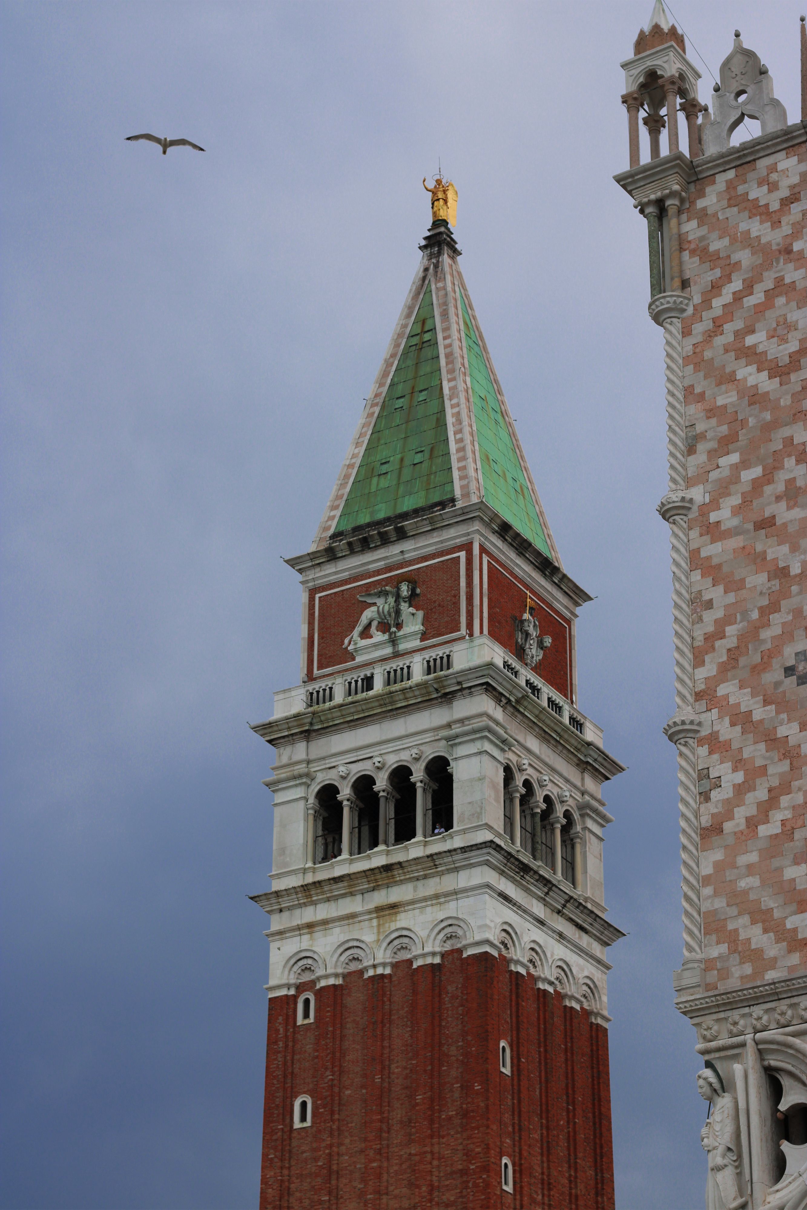 Tower of St Marks Basilica over Buildings on Sea Coast in Venice · Free ...