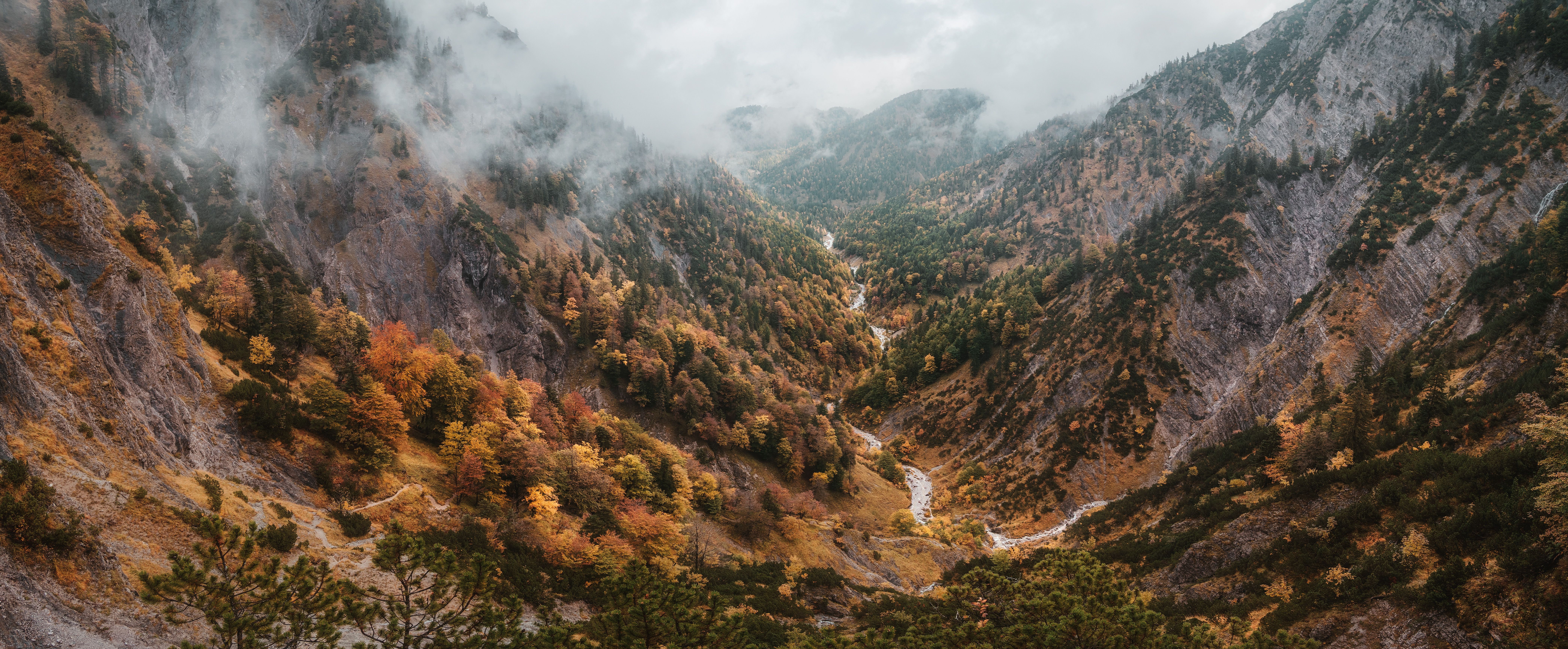 Green and Brown Trees on Mountains · Free Stock Photo