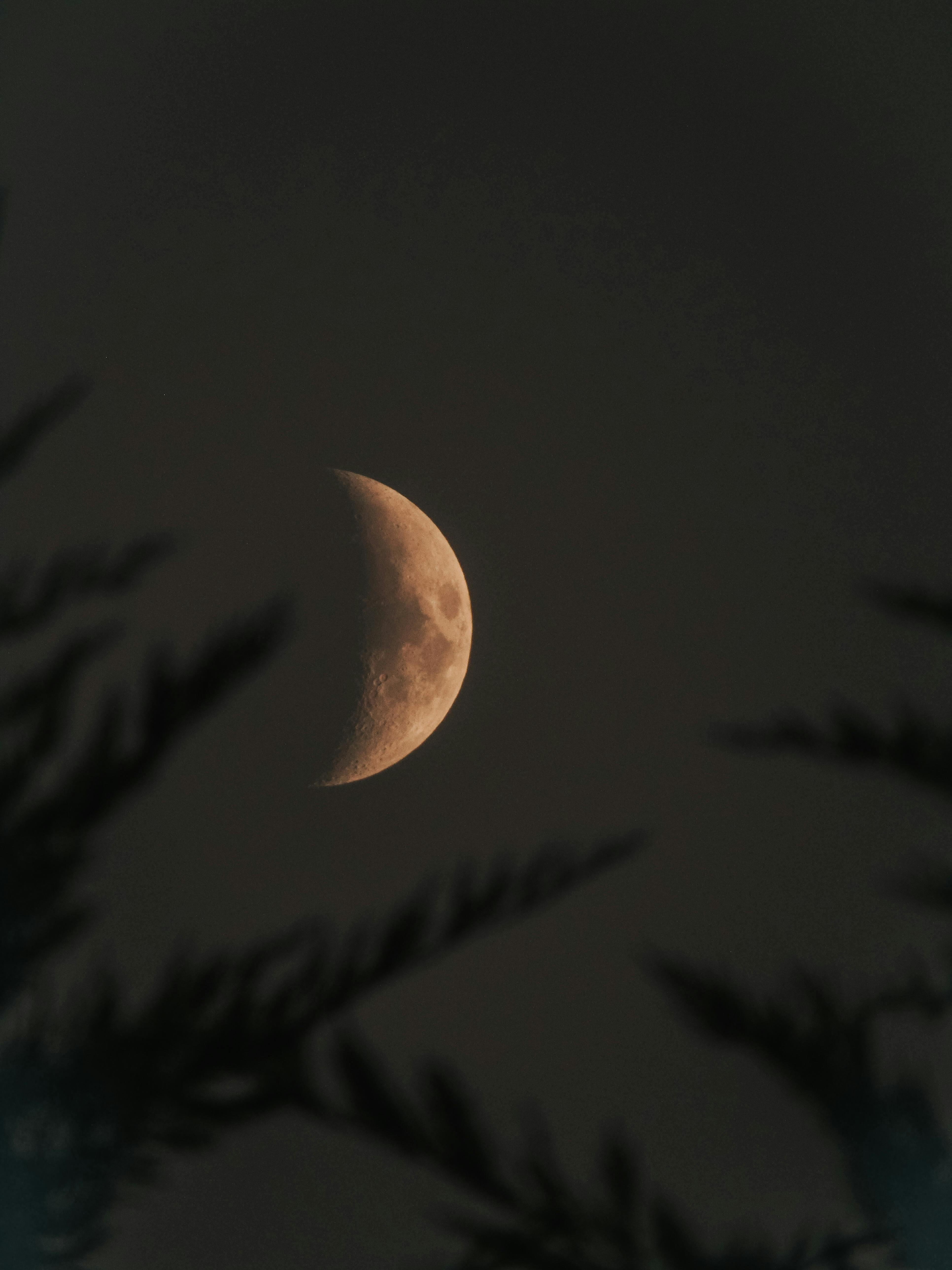 Foto Da Lua Crescente Durante A Noite · Foto profissional gratuita